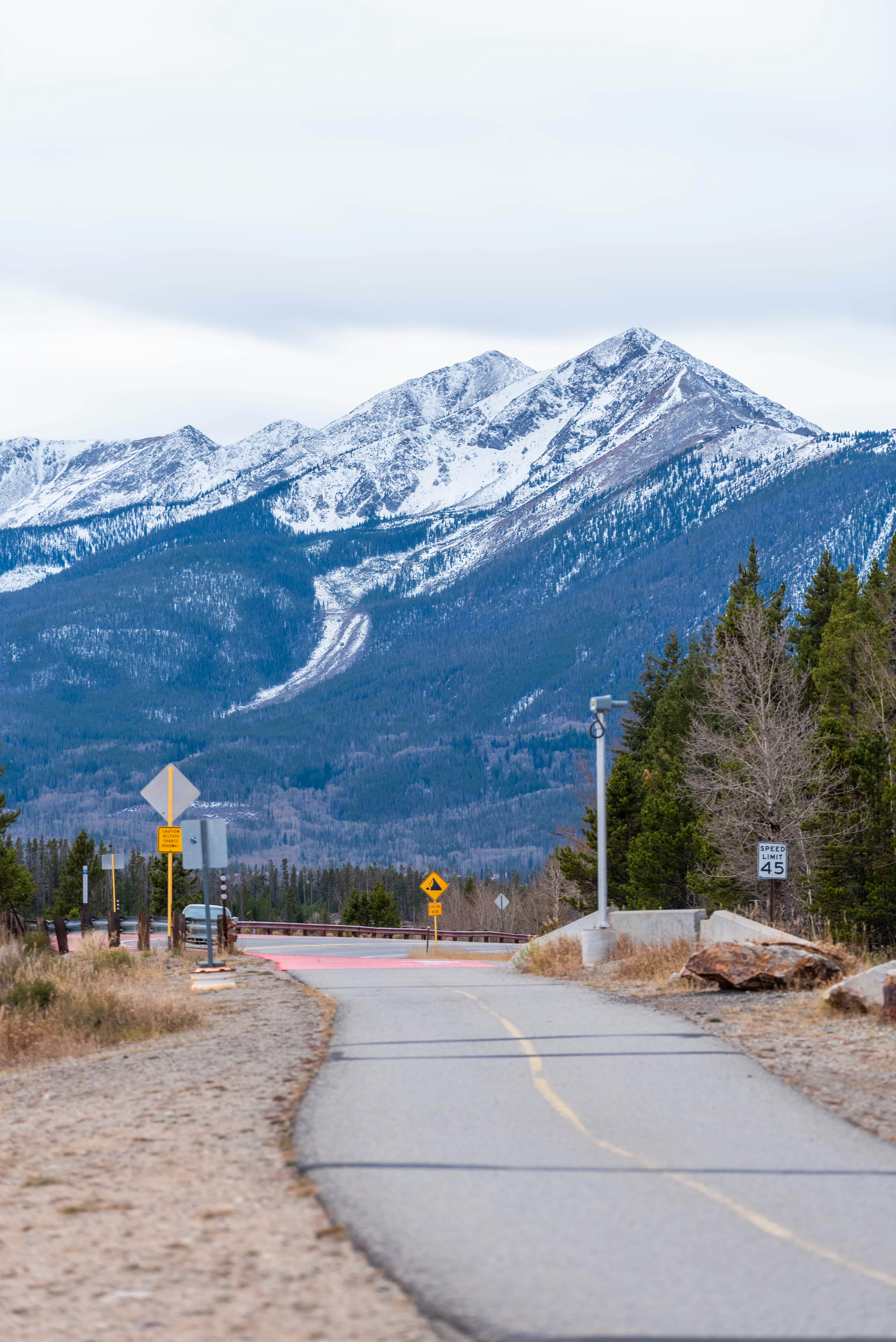 Winding pathway leading towards snow-capped mountains under a cloudy sky, framed by lush trees and road signs.