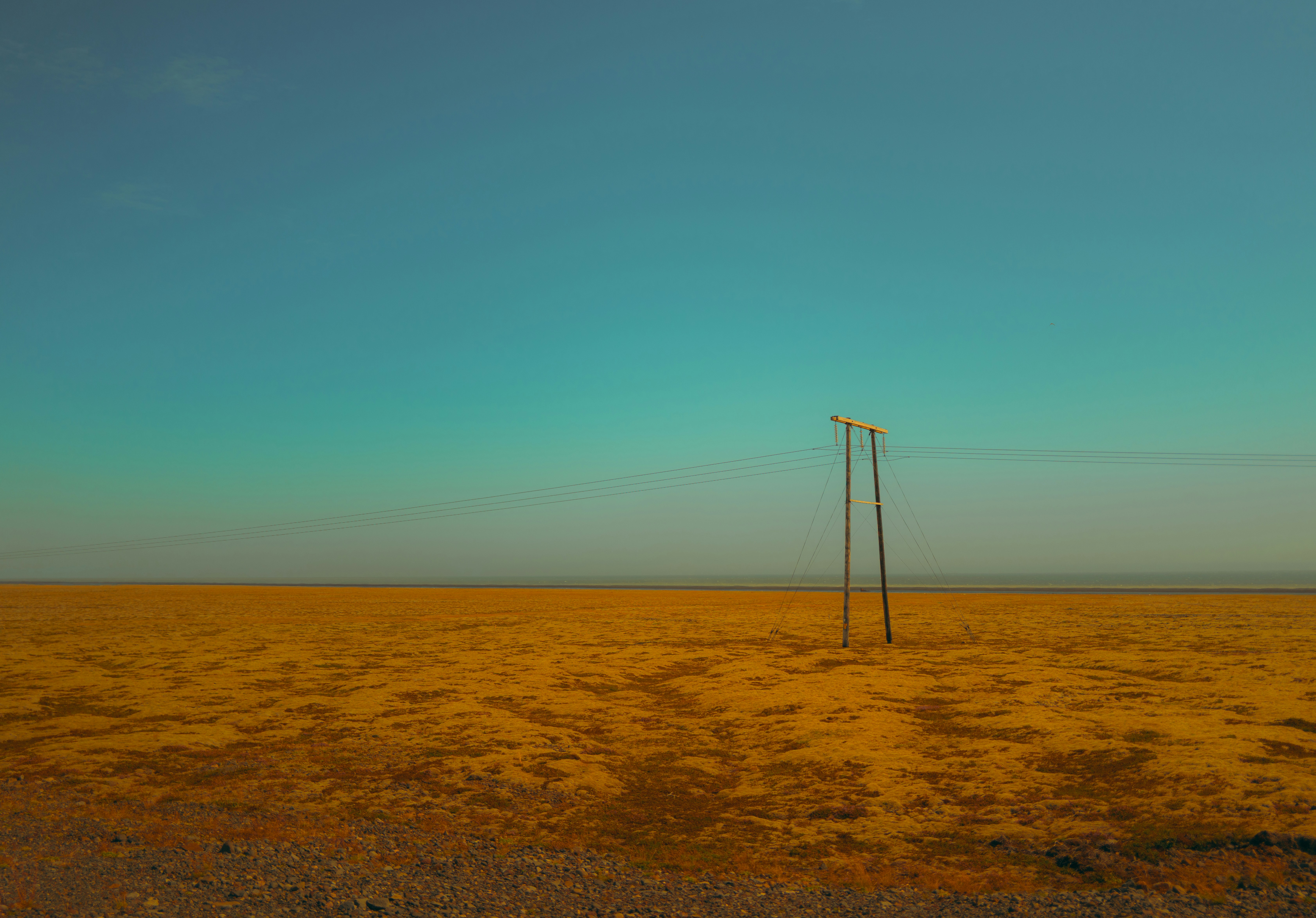 Lonely Sentinel of the Prairie