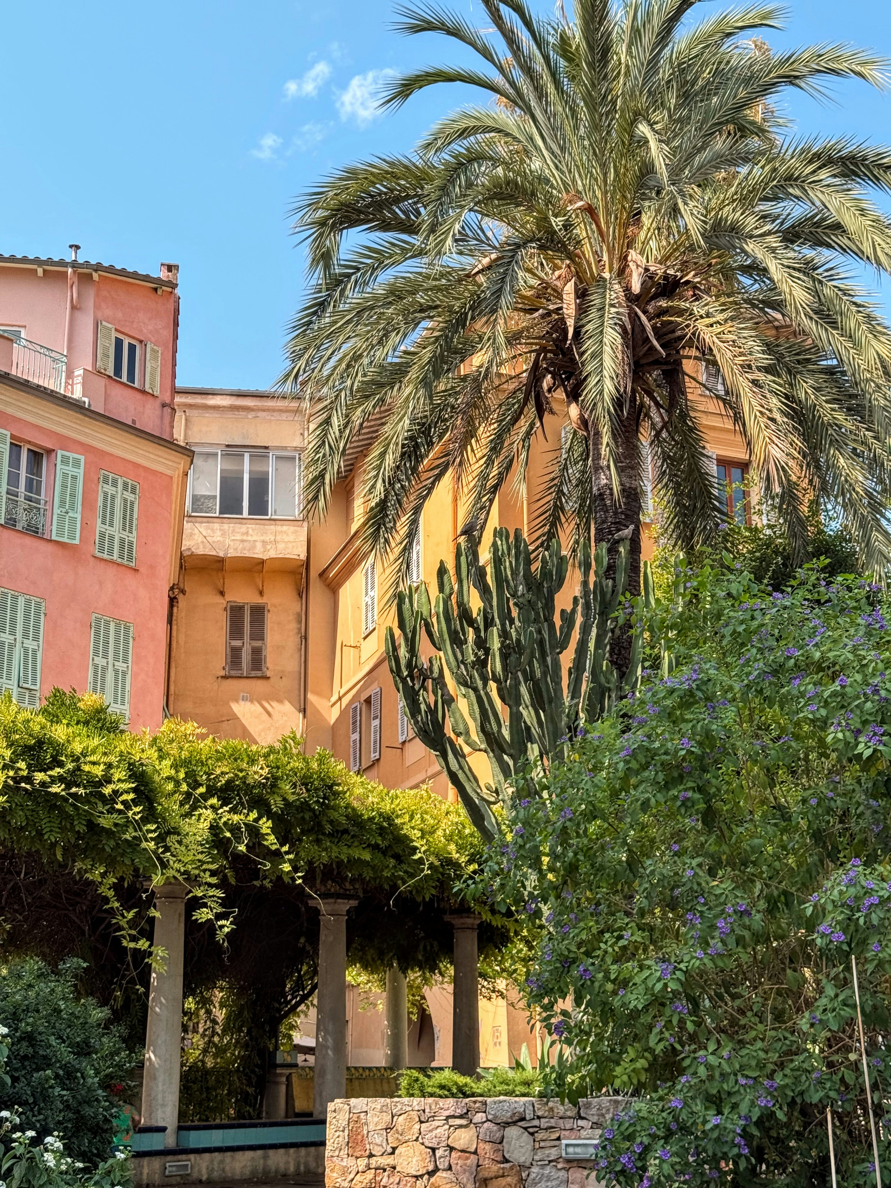 Colorful buildings with palm tree and lush greenery
