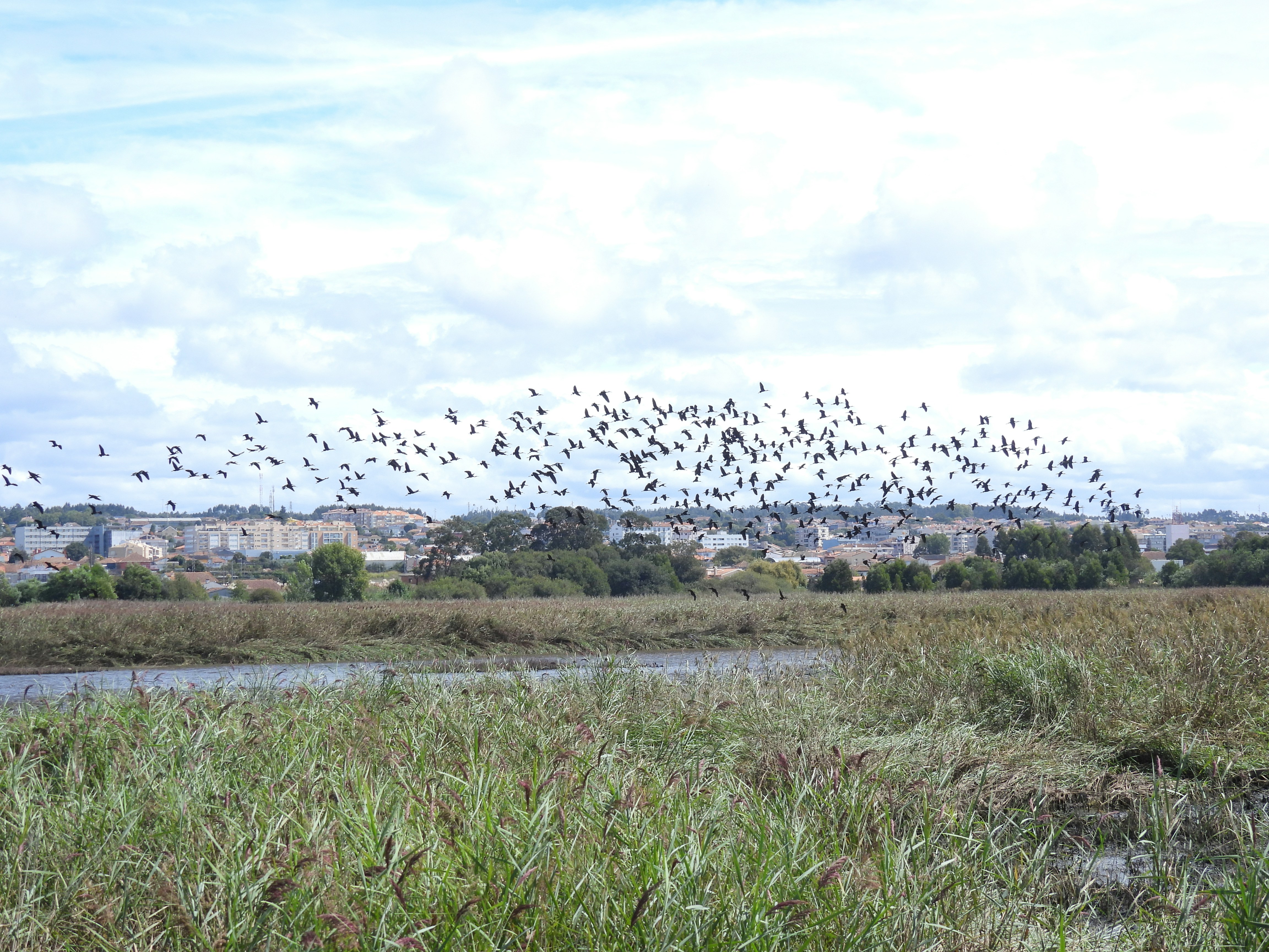 Photo by Anastasiya Dragun with Nikon COOLPIX P950