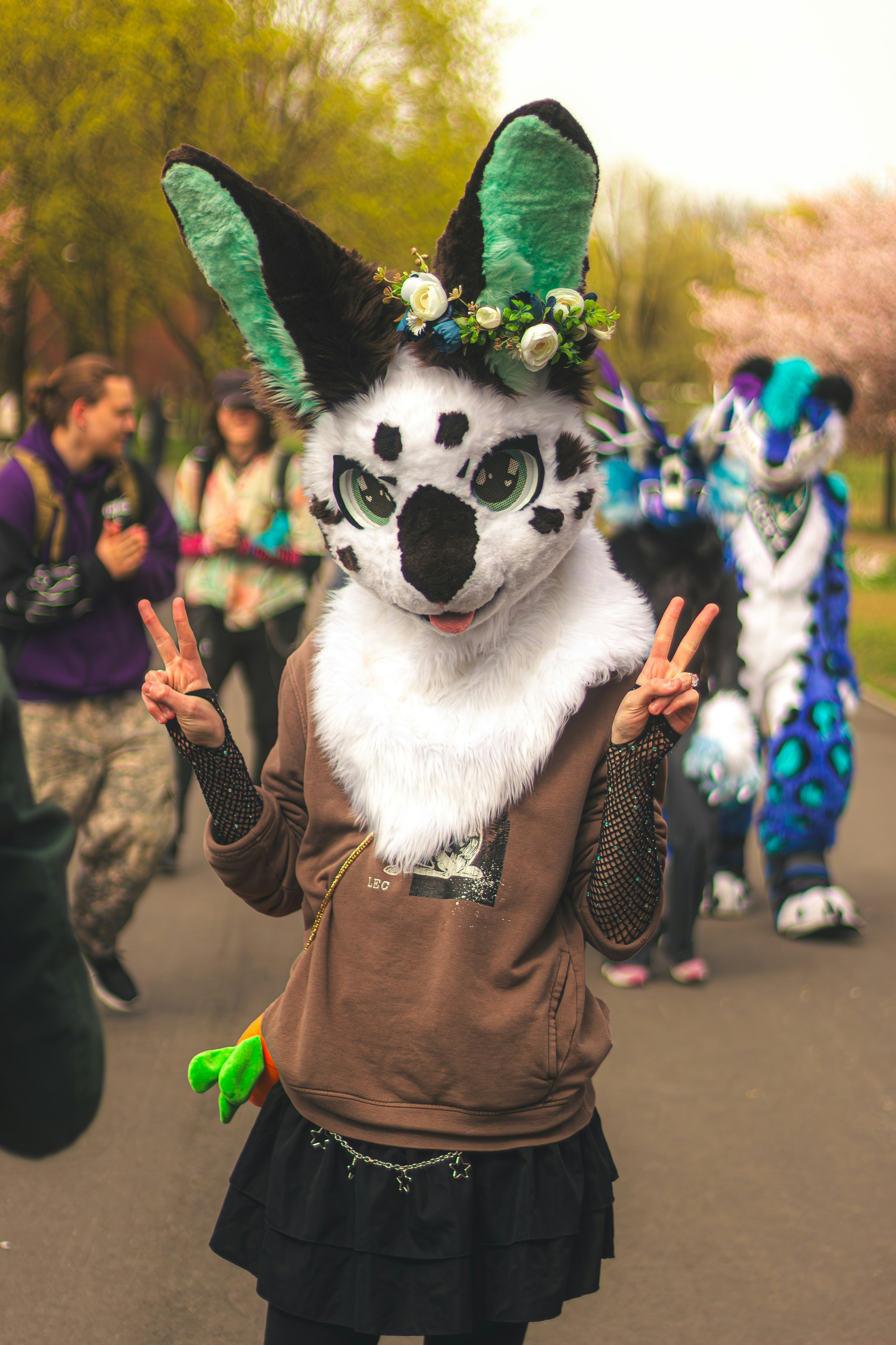 Photo from a furwalk in a sakura garden in Riga, April 2025