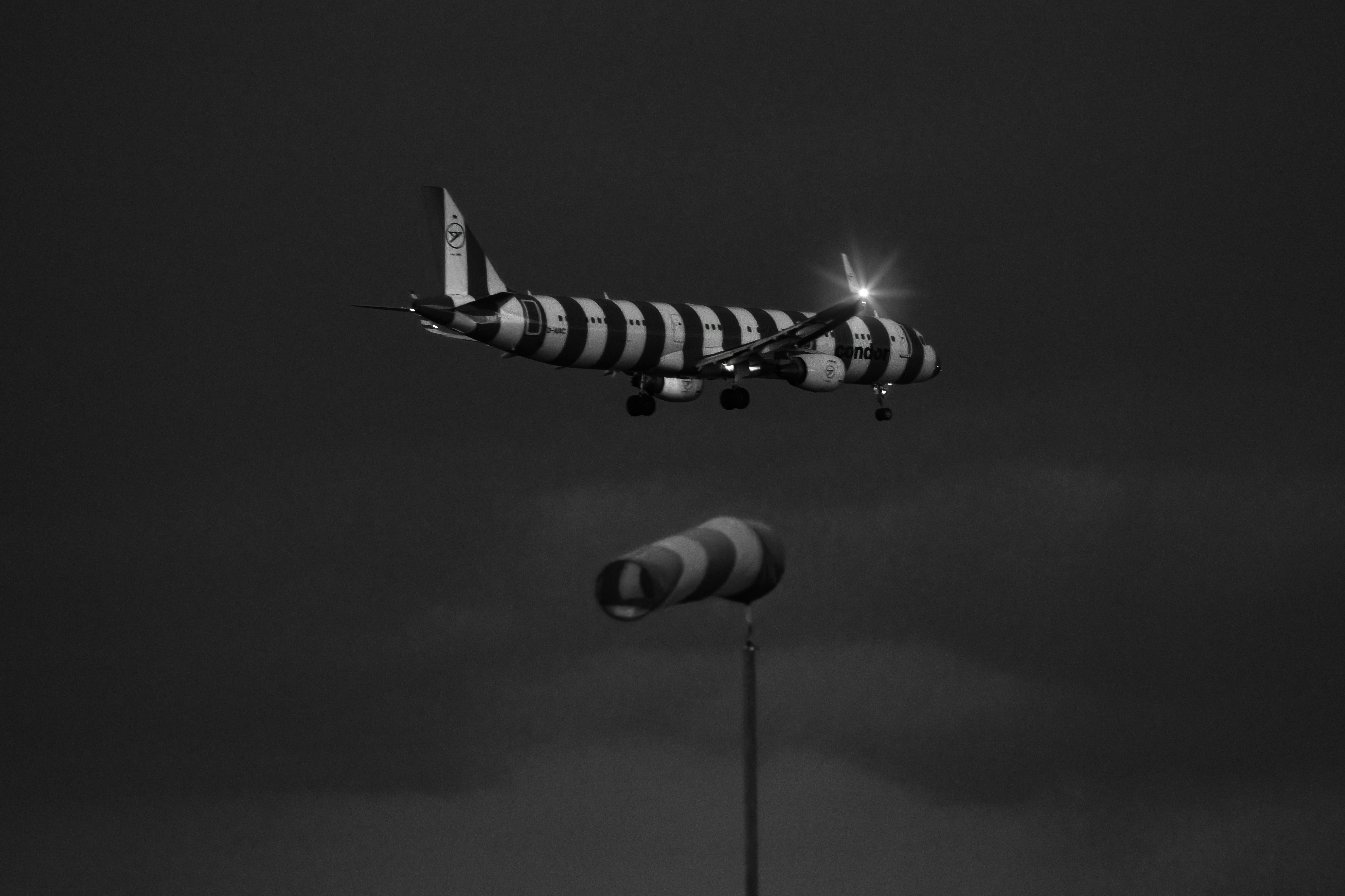 Airplane with black and white stripes landing