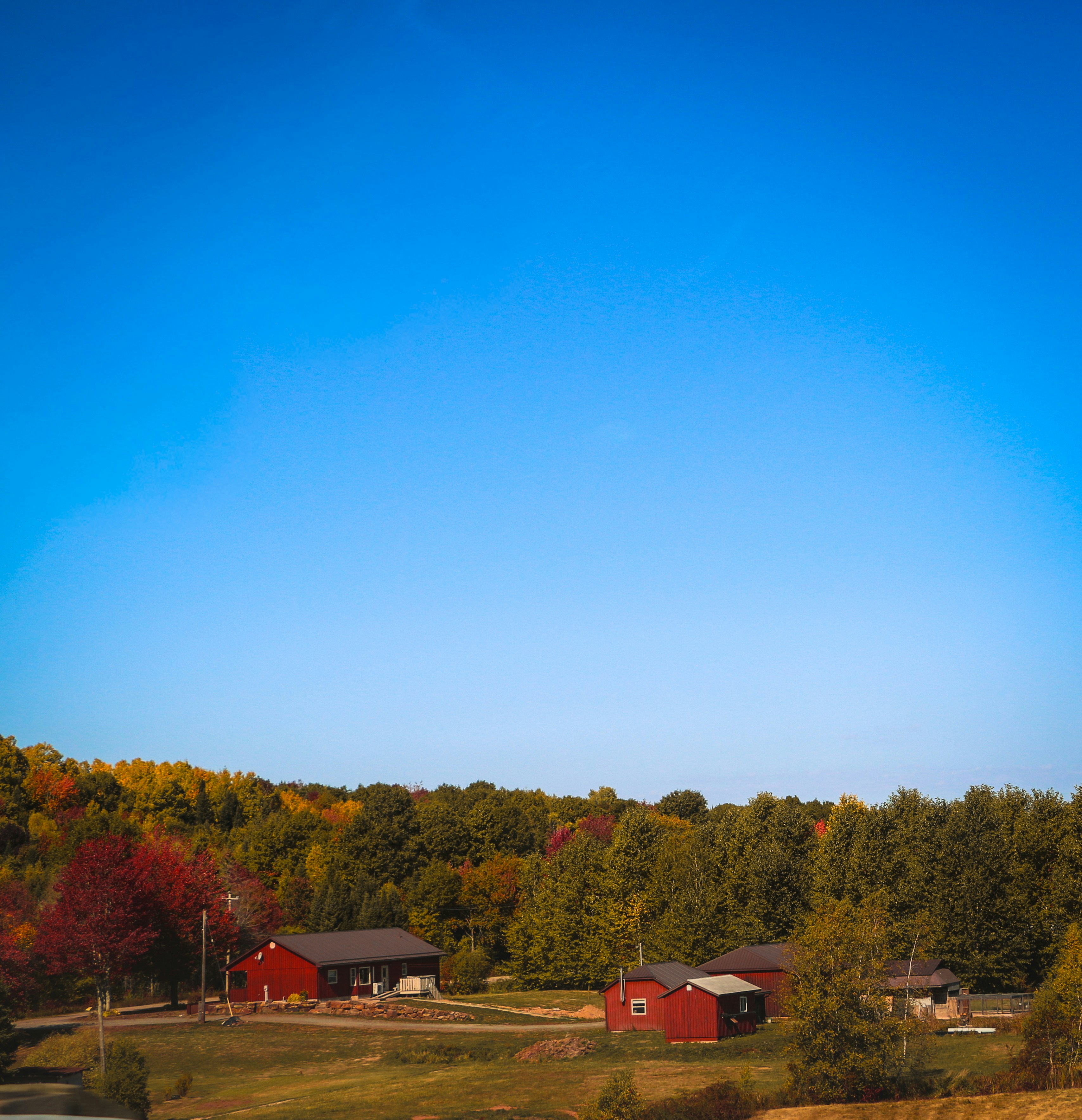 Autumn's Embrace on Rustic Homesteads