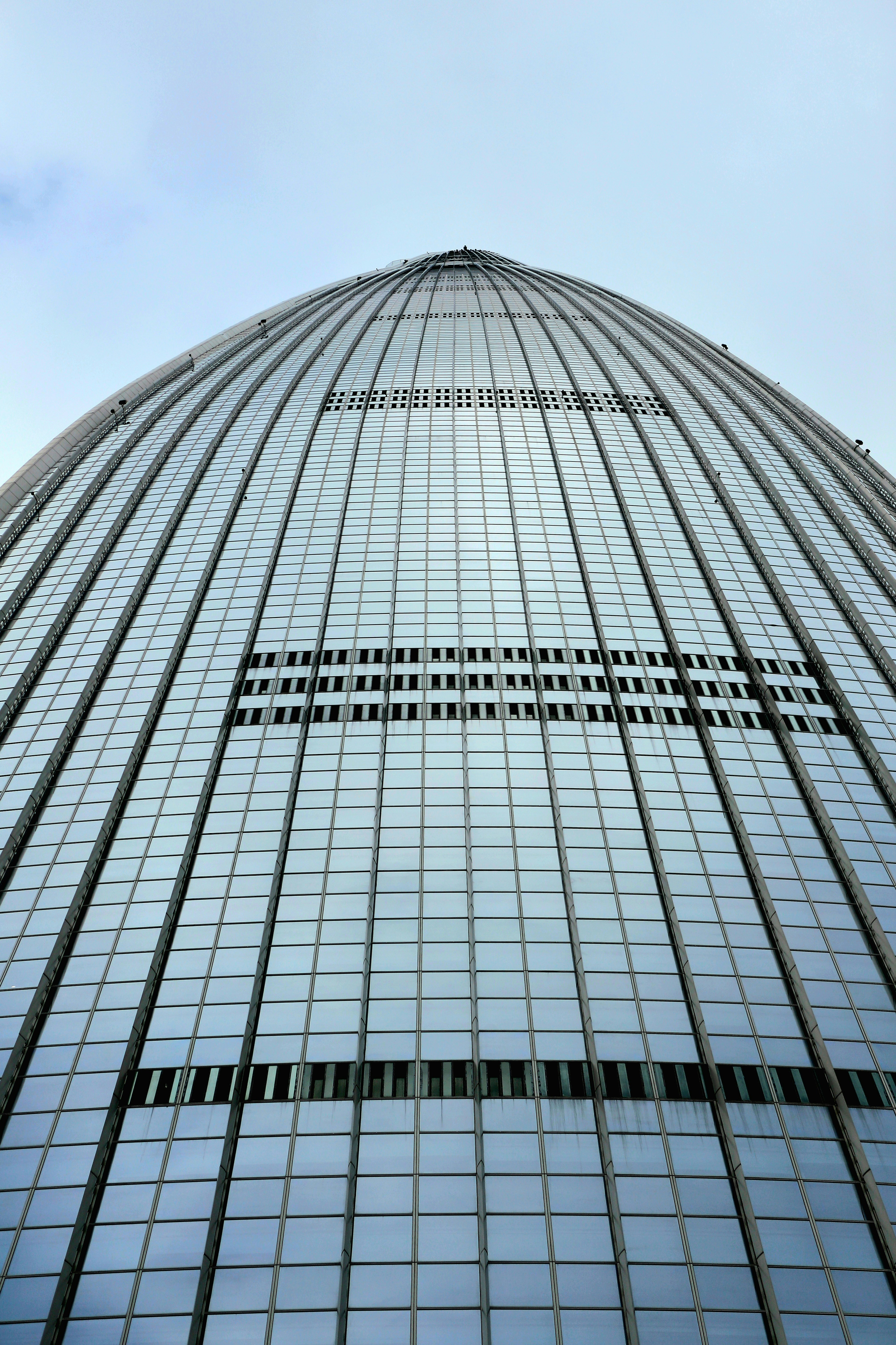 Reaching for the Skies: A Vertical Perspective