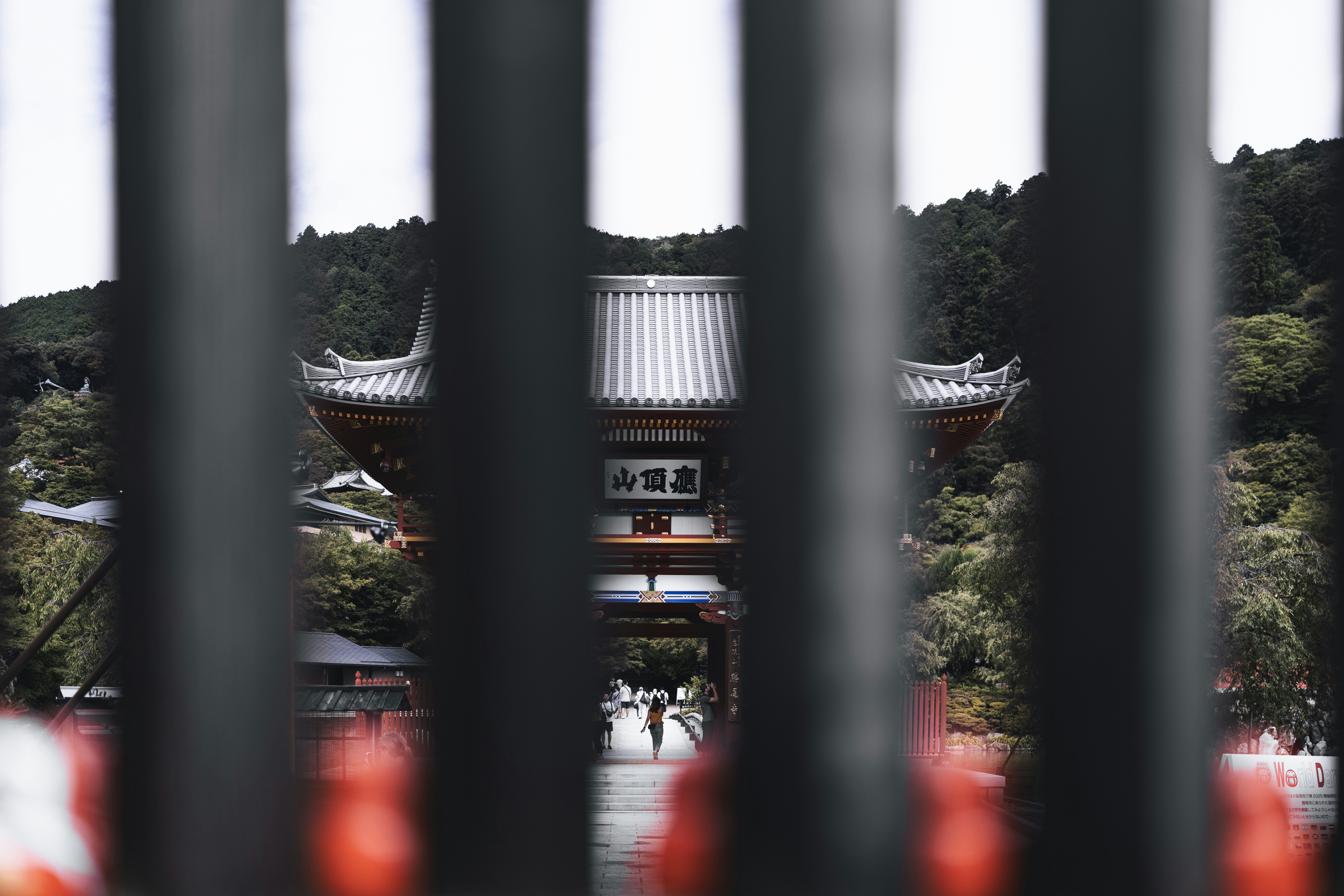 Gateway to Serenity: A Glimpse Through the Grille