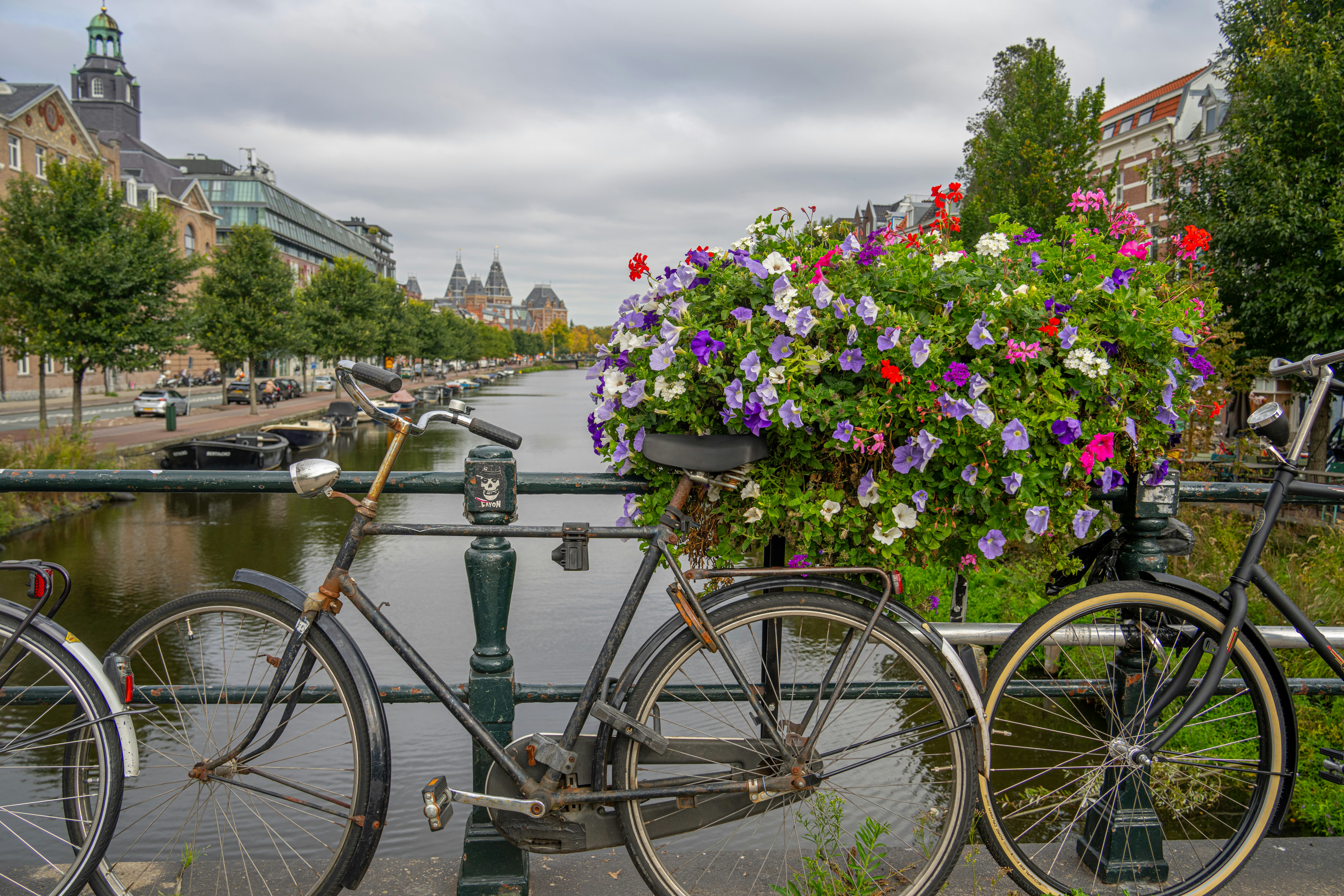 Floral Serenity by the Canal