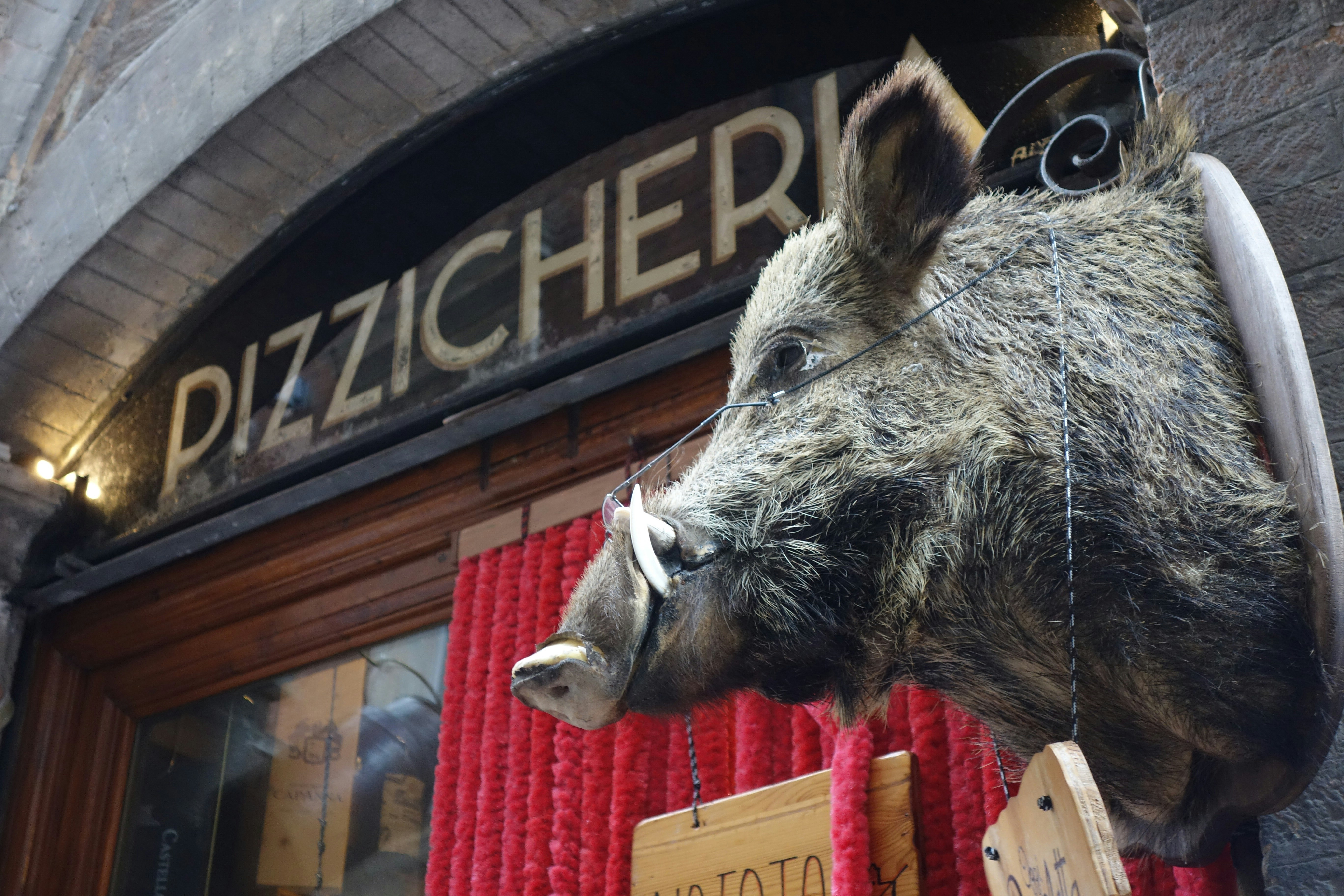 A Rustic Welcome: The Boar's Gaze