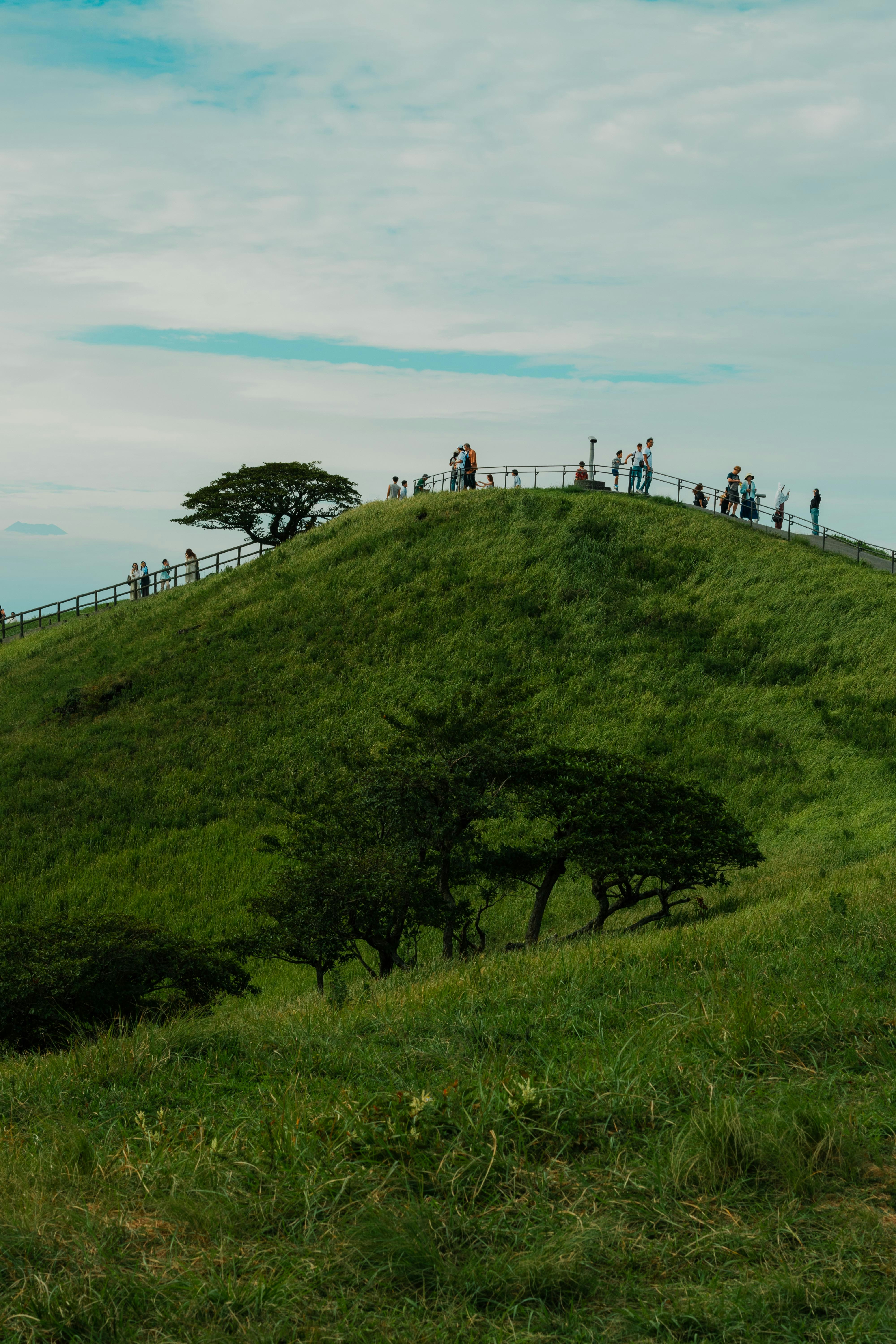 Hilltop Crest: Visitors Along a Guarded Green Summit