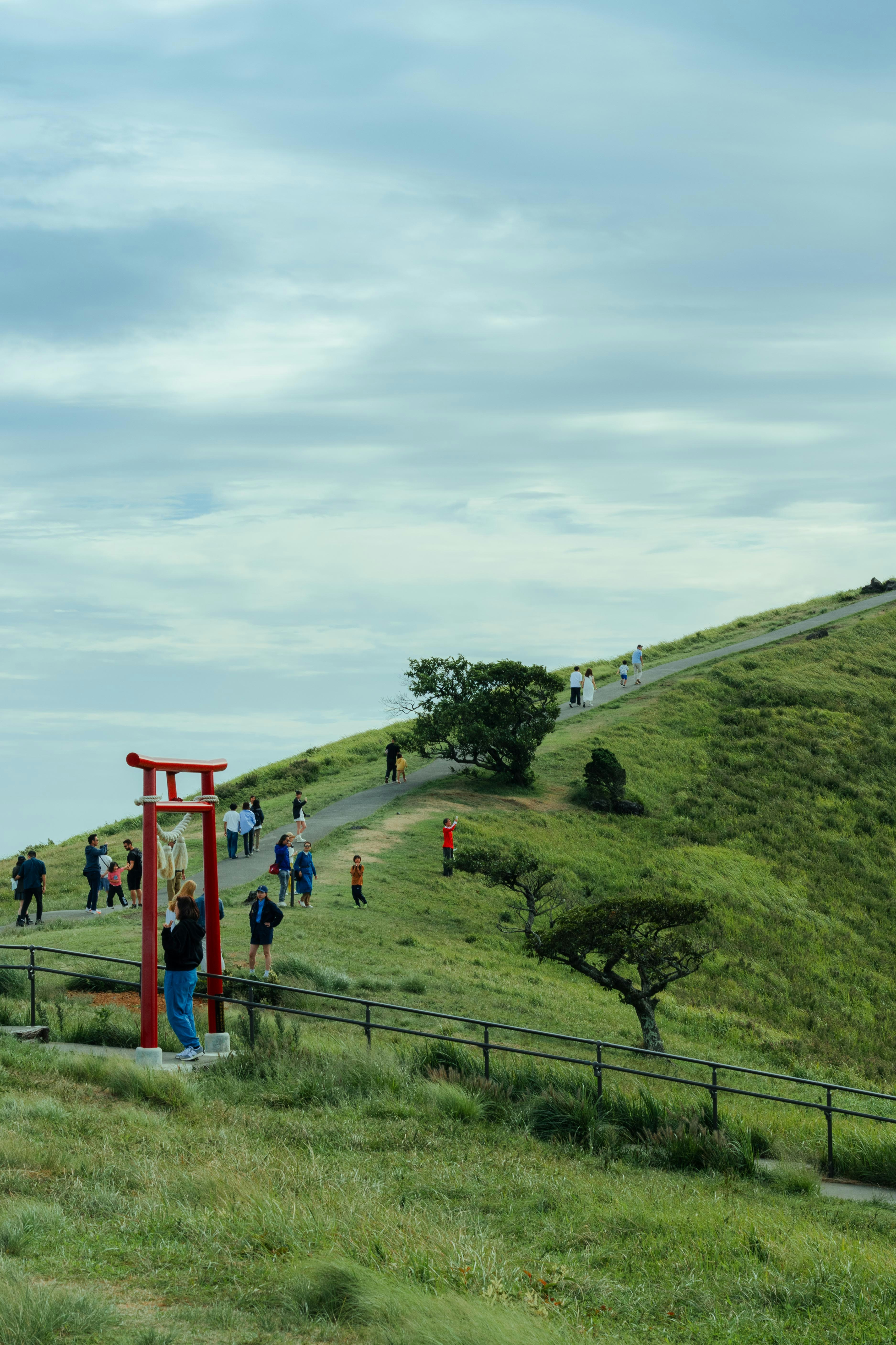 Crimson Torii on a Green Slope: A Quiet Hilltop Stroll