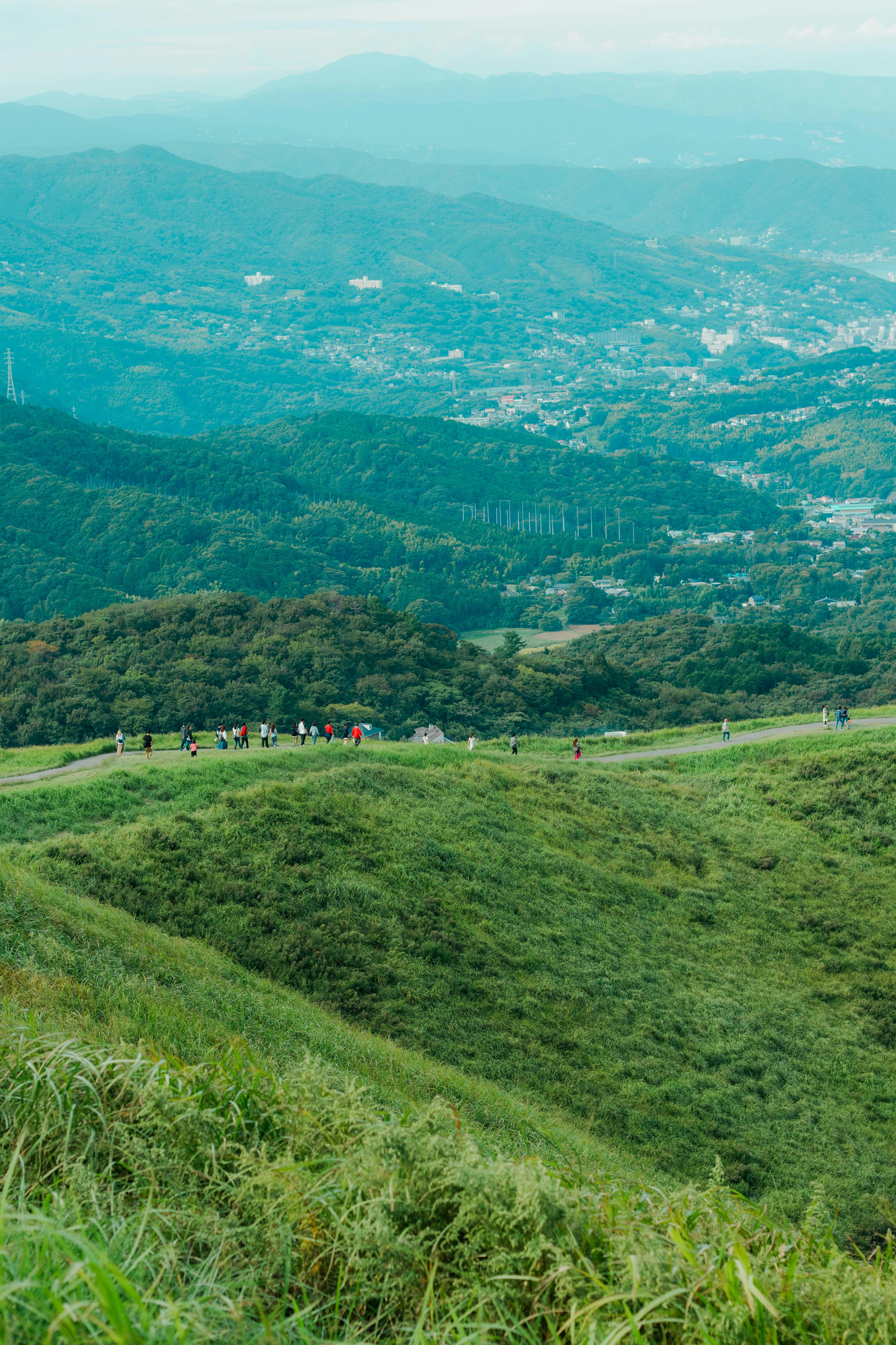 Winding Paths Through Verdant Valleys