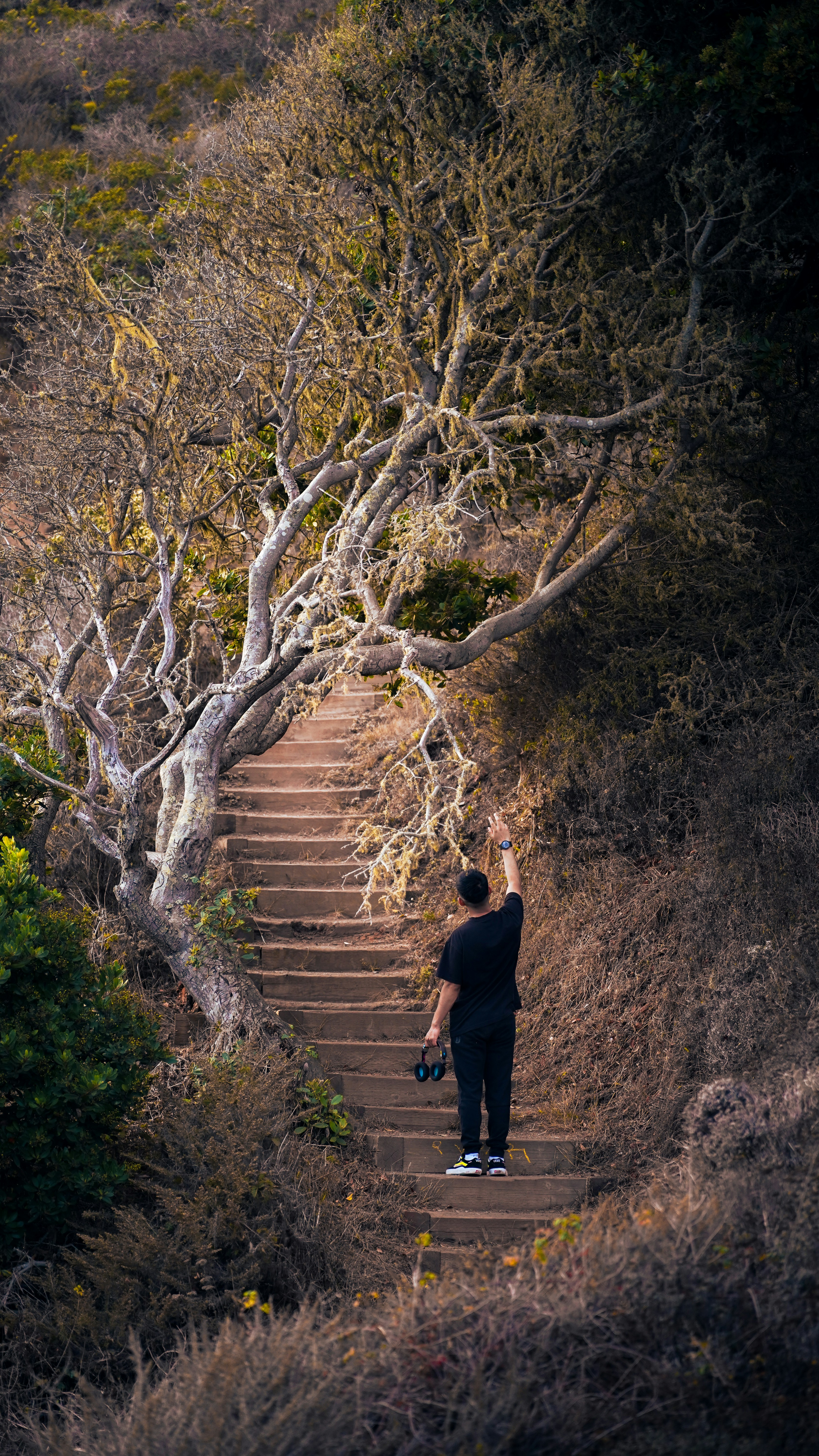 Journey Through Nature's Embrace