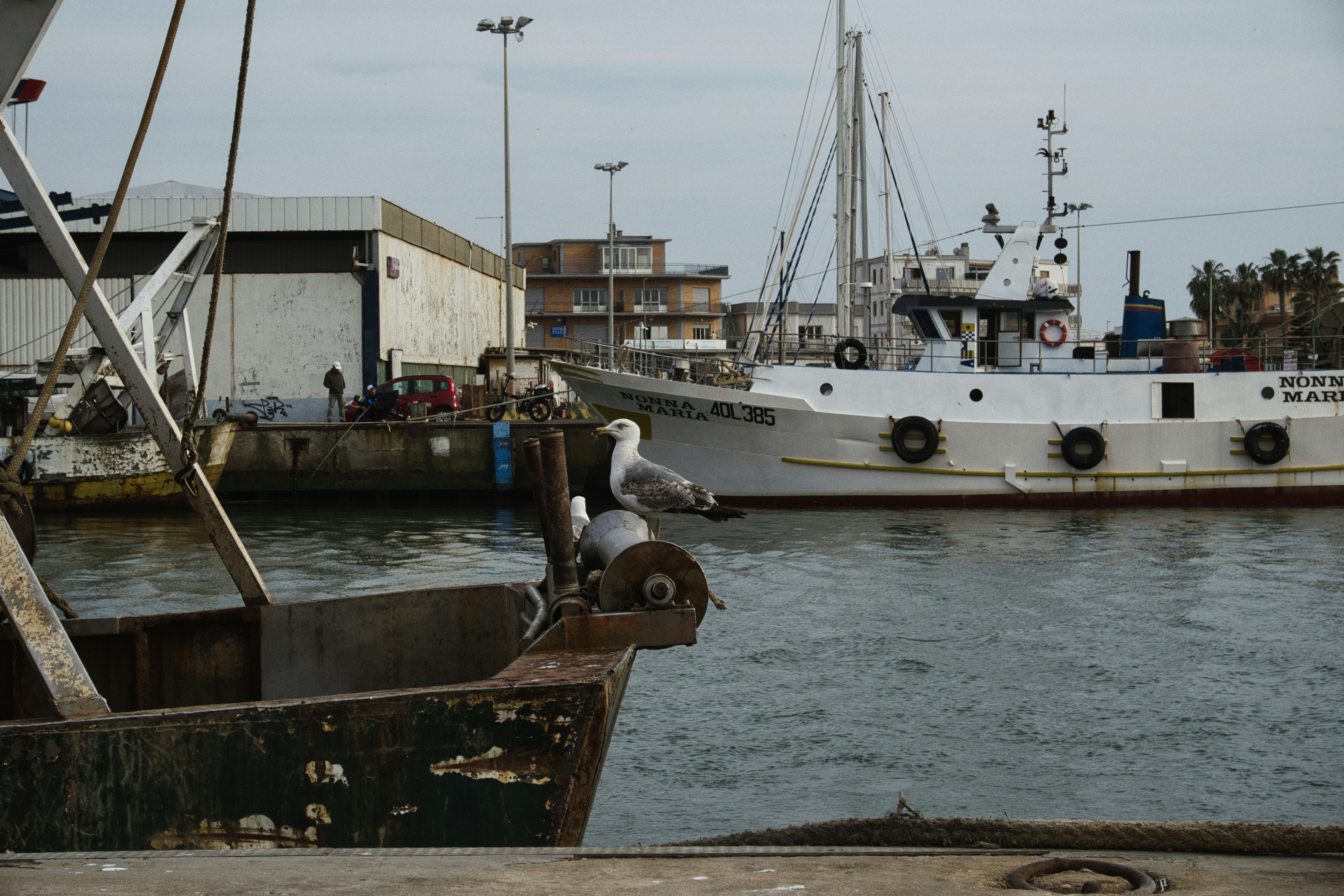 Seagulls perch on a boat in a harbor.