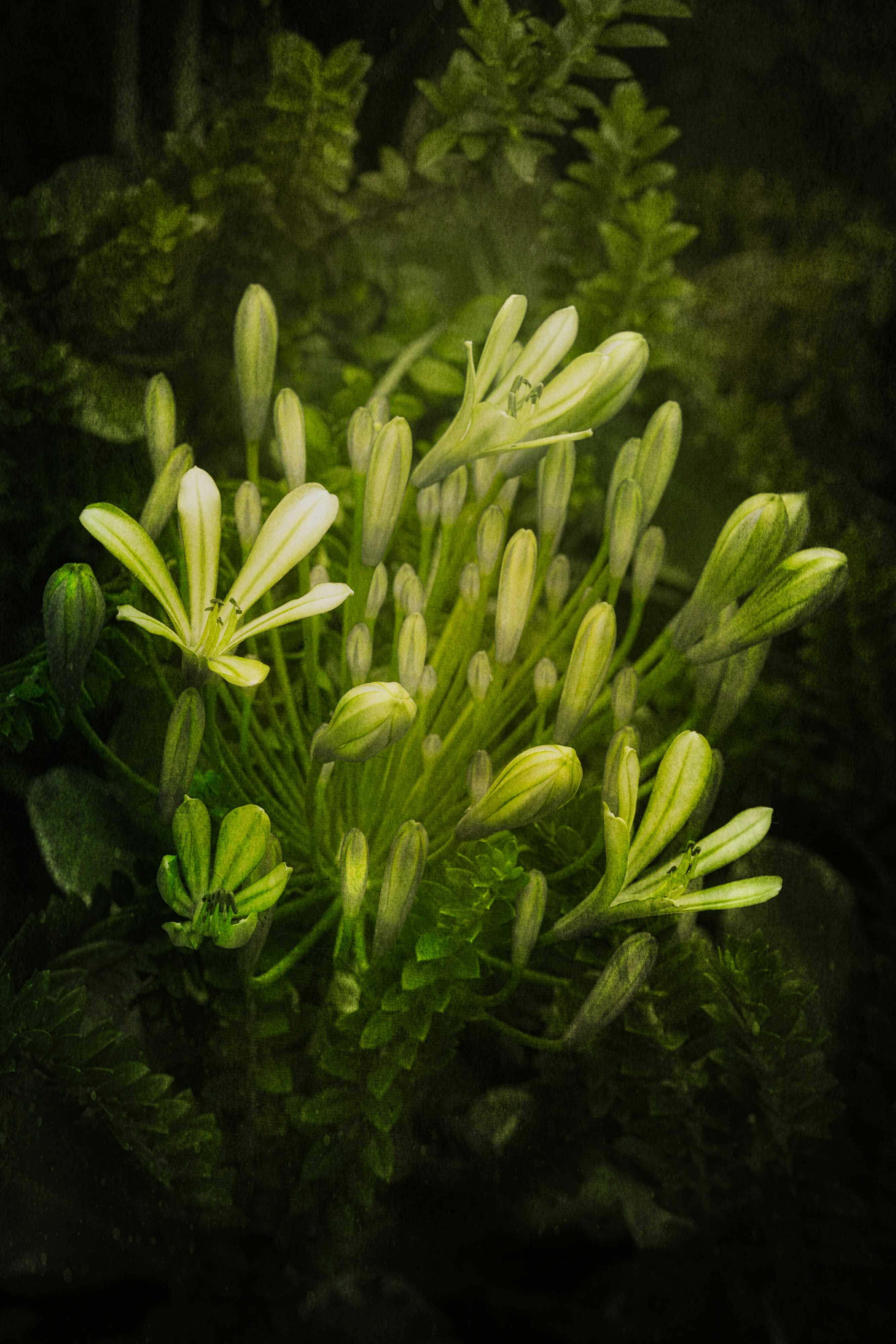 Whispers of Nature: The Blooming Enigma