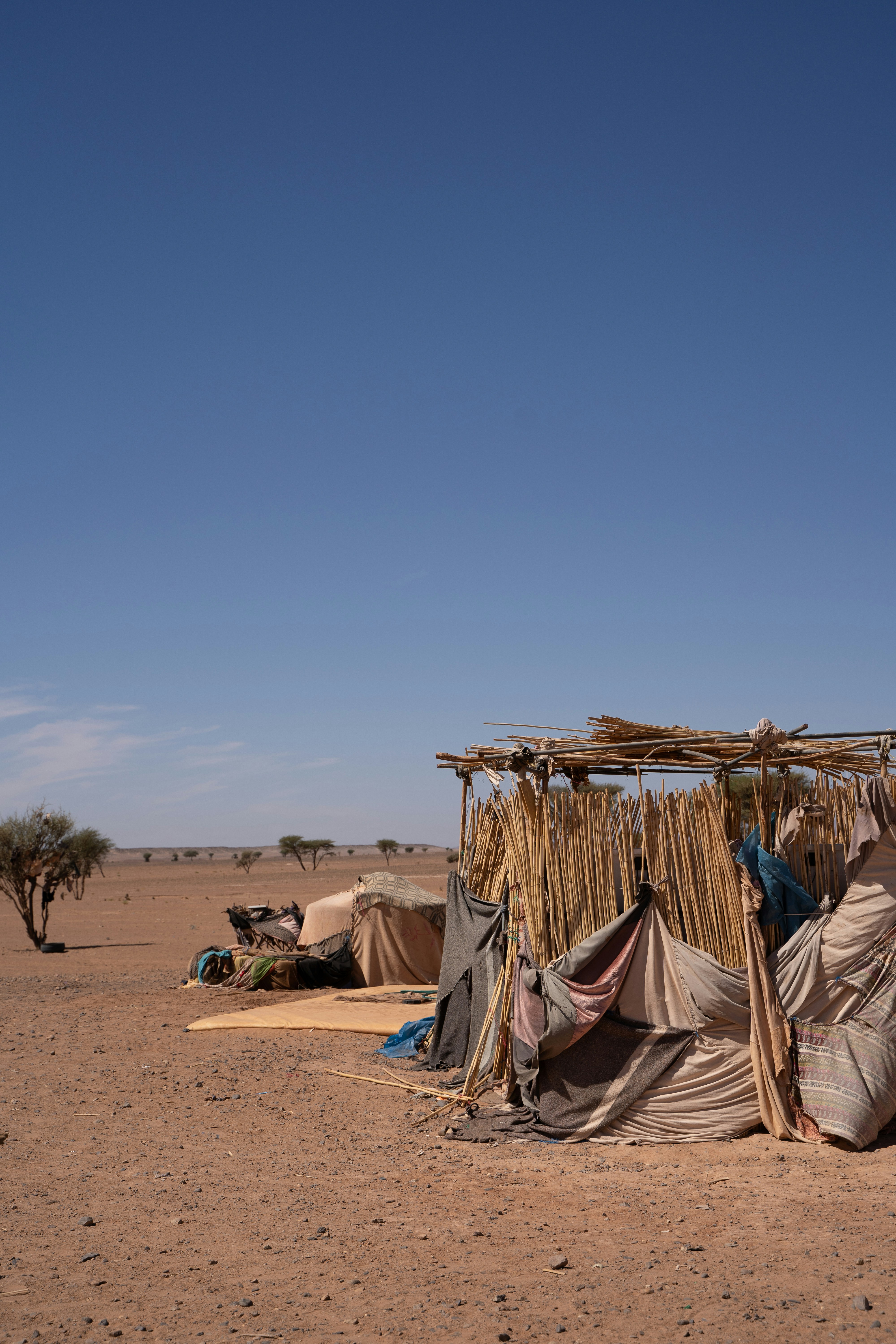 Makeshift shelter in a dry, desert landscape under clear sky.