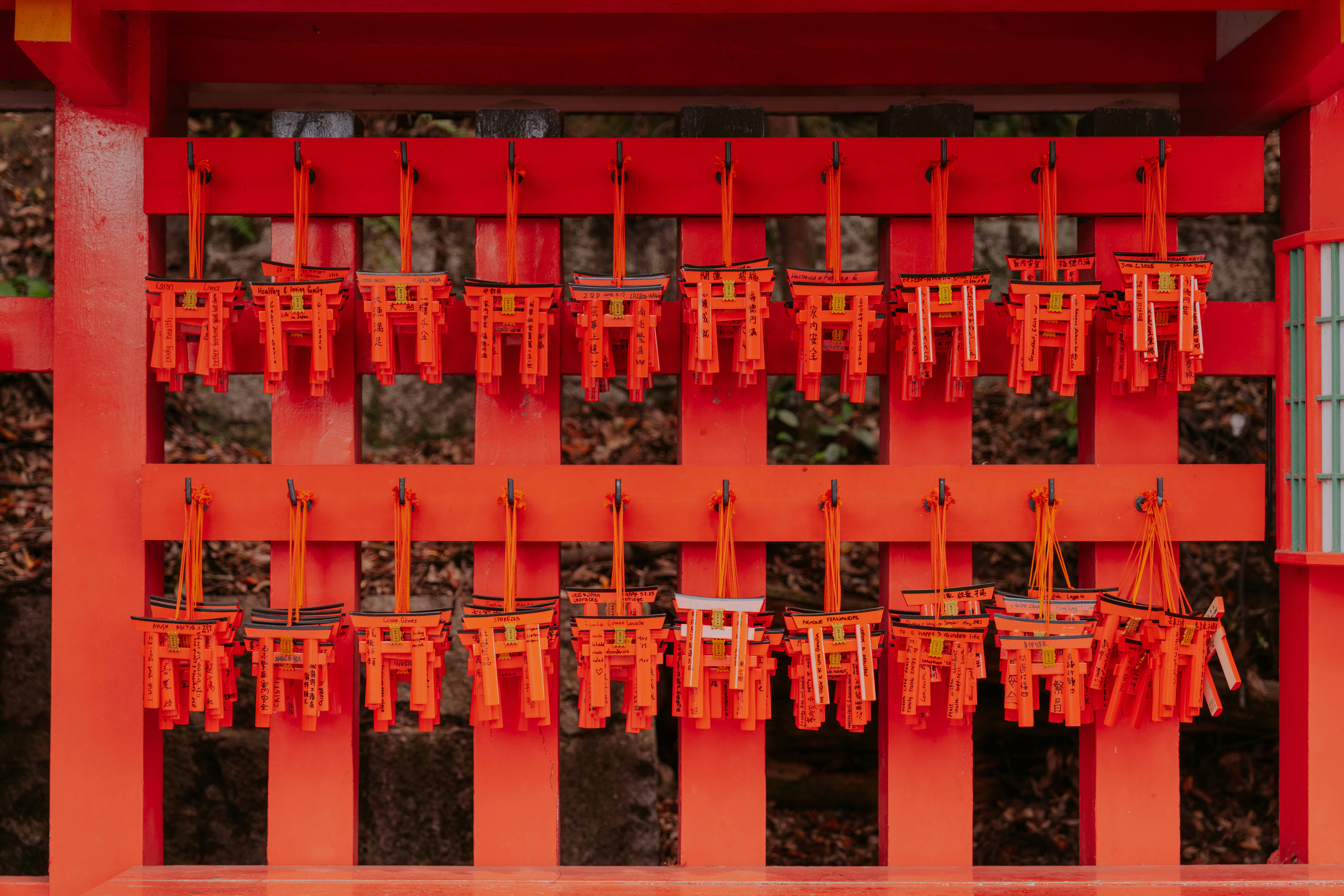 Rows of small orange japanese shrines hanging