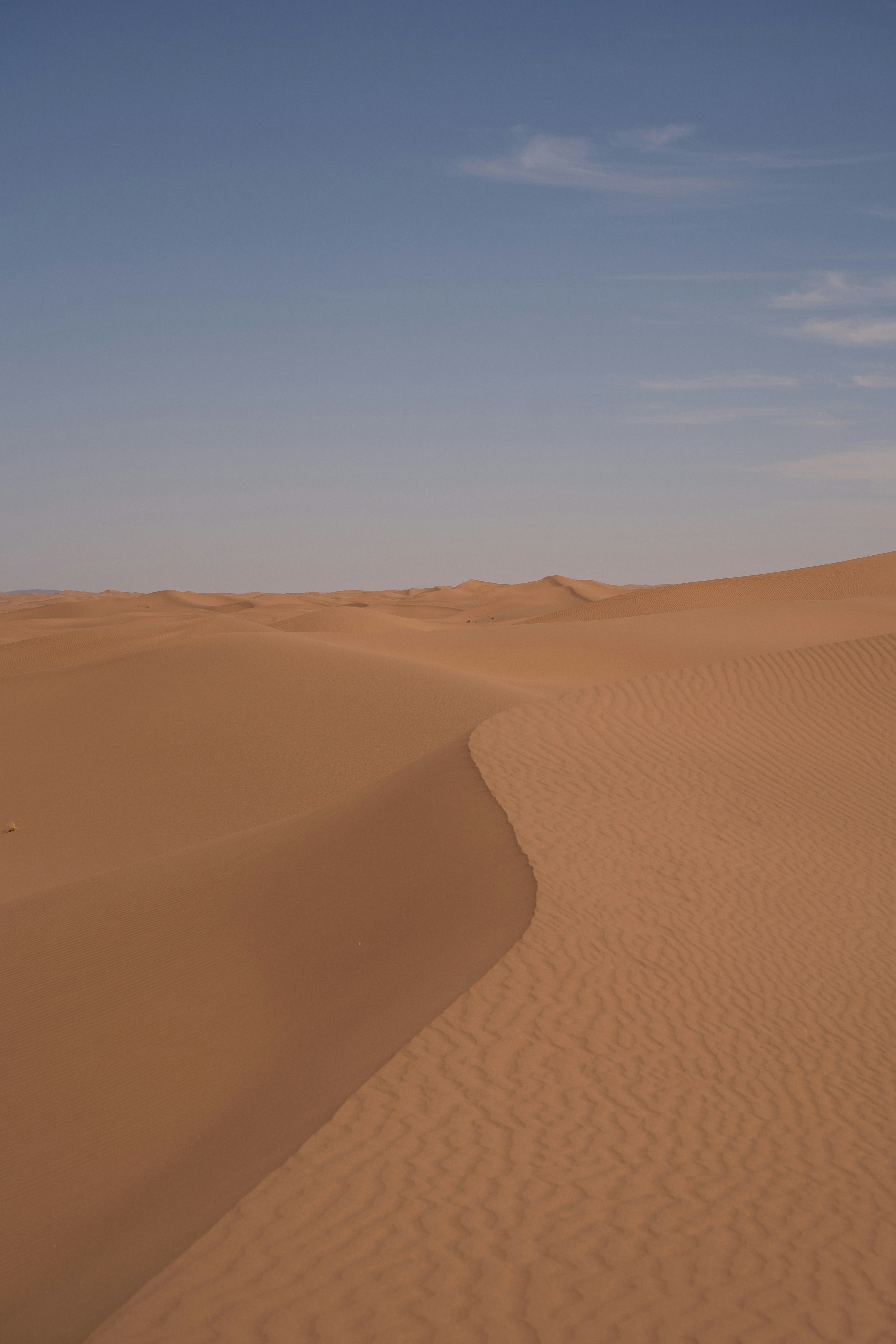 Gentle undulations of golden sand dunes under a clear blue sky, showcasing the serene beauty of the desert landscape.