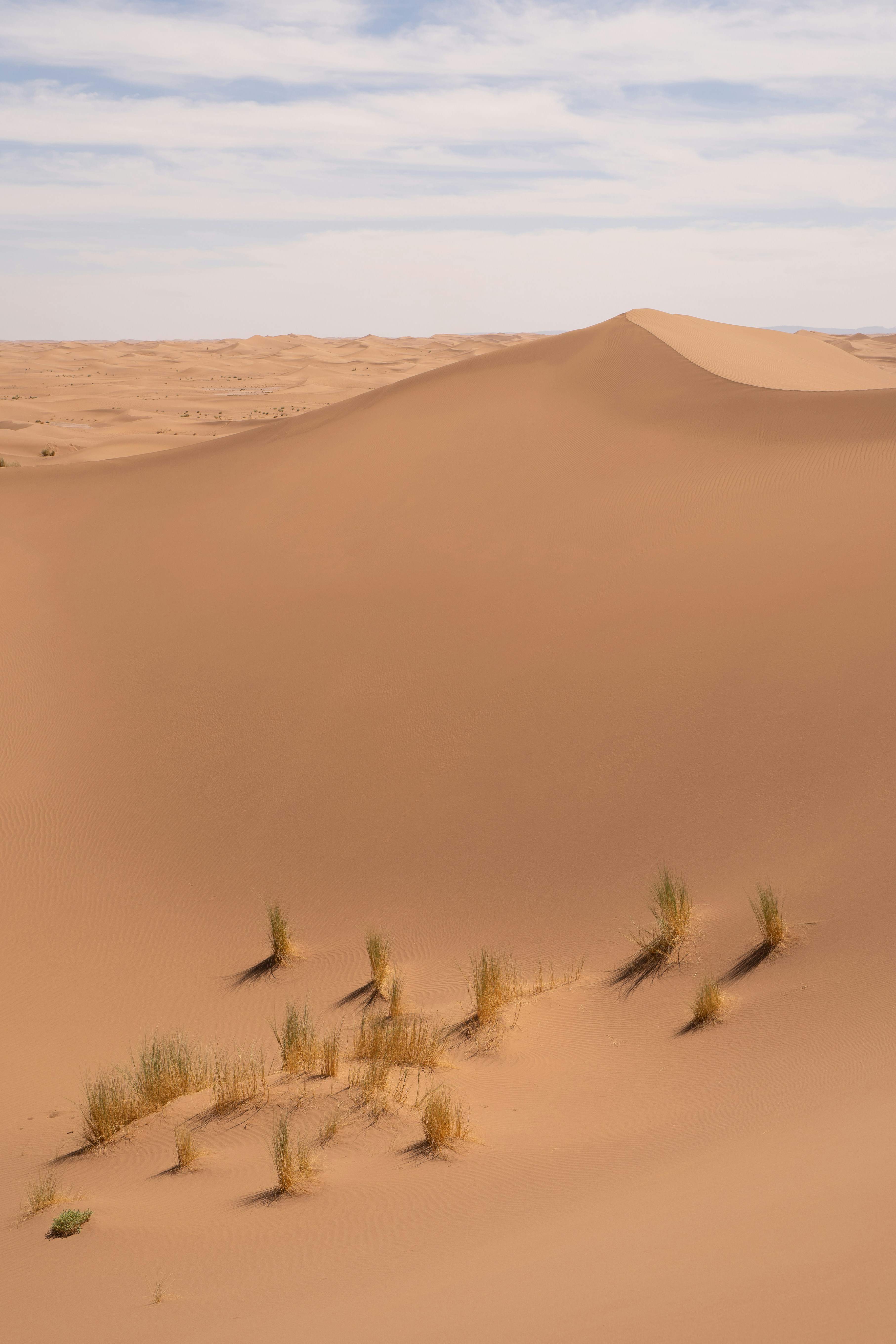 Whispers of the Dunes