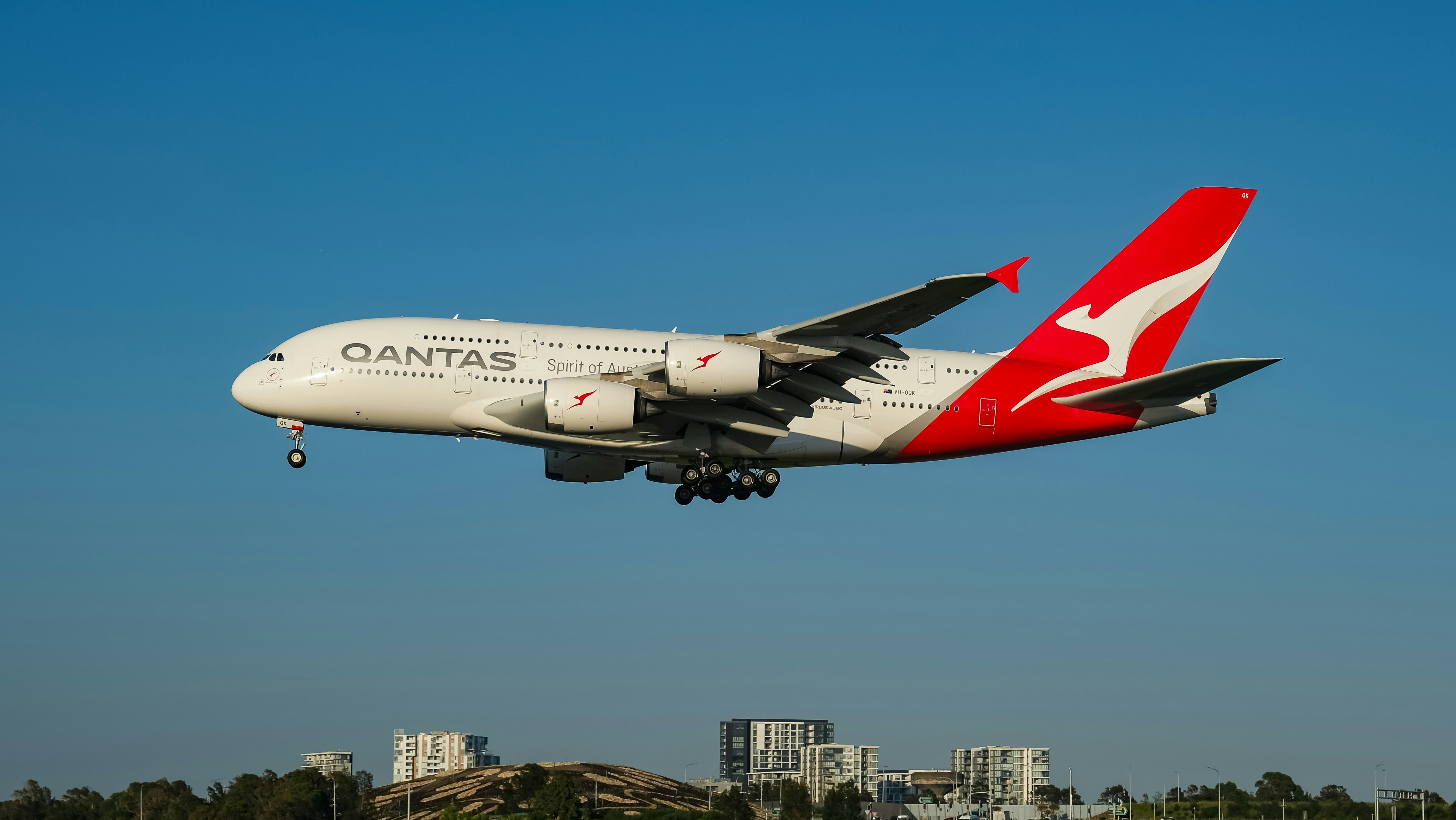 Soaring High: The Majesty of Flight
