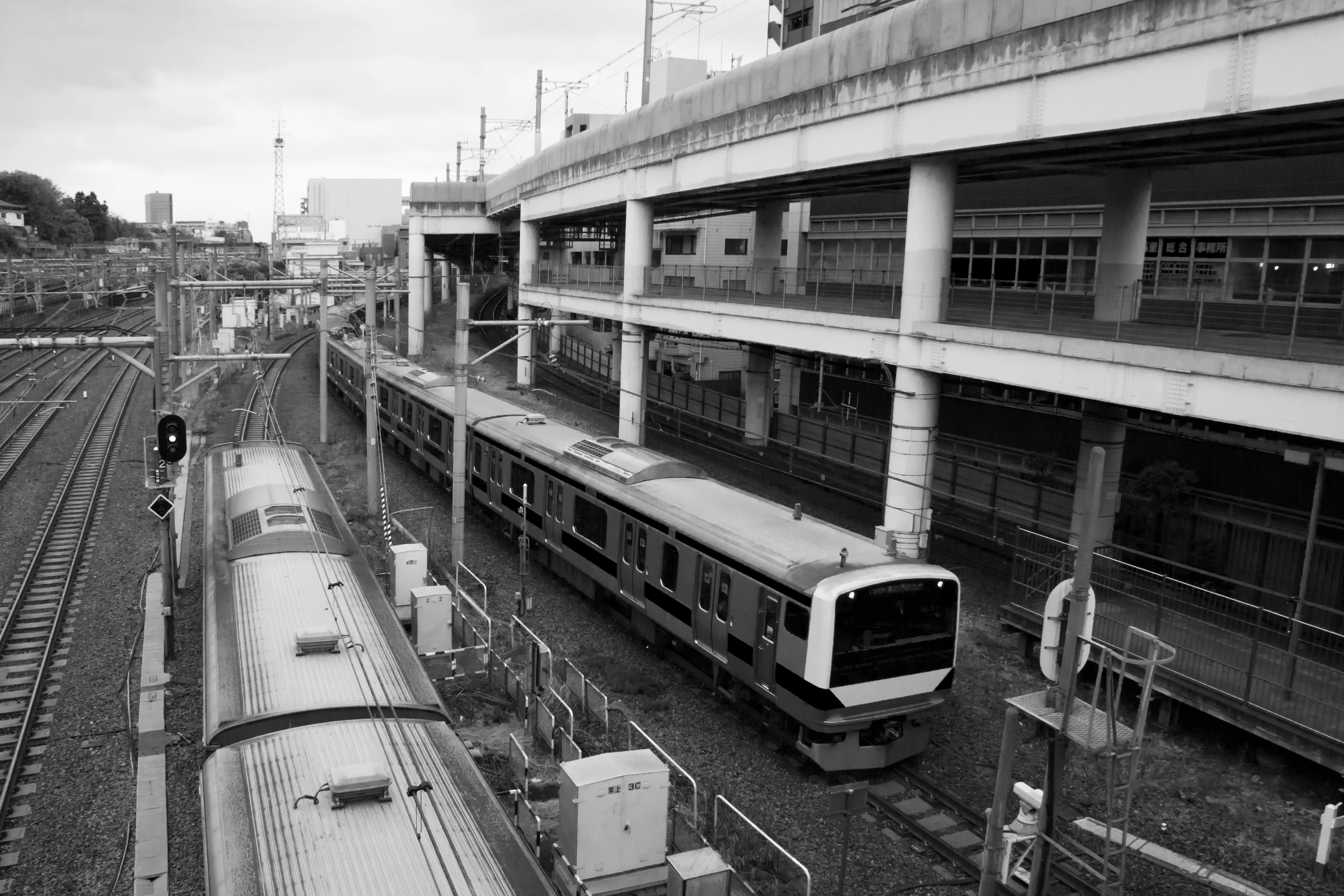 Trains passing each other near Nippori Station, Tokyo, Japan. | Two trains at a station platform in black and white.