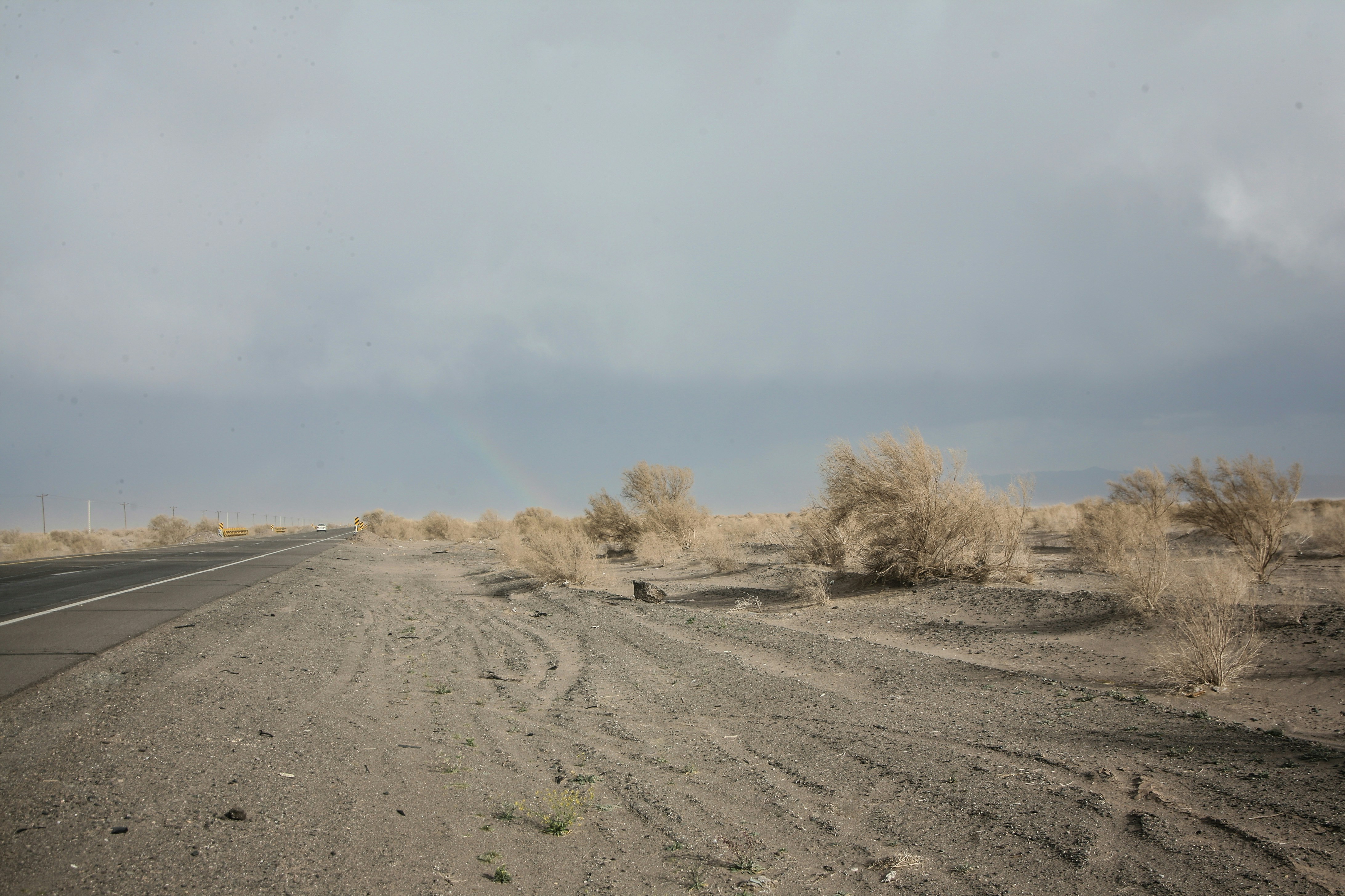 Whispers of the Desert: A Journey Through Arid Landscapes
