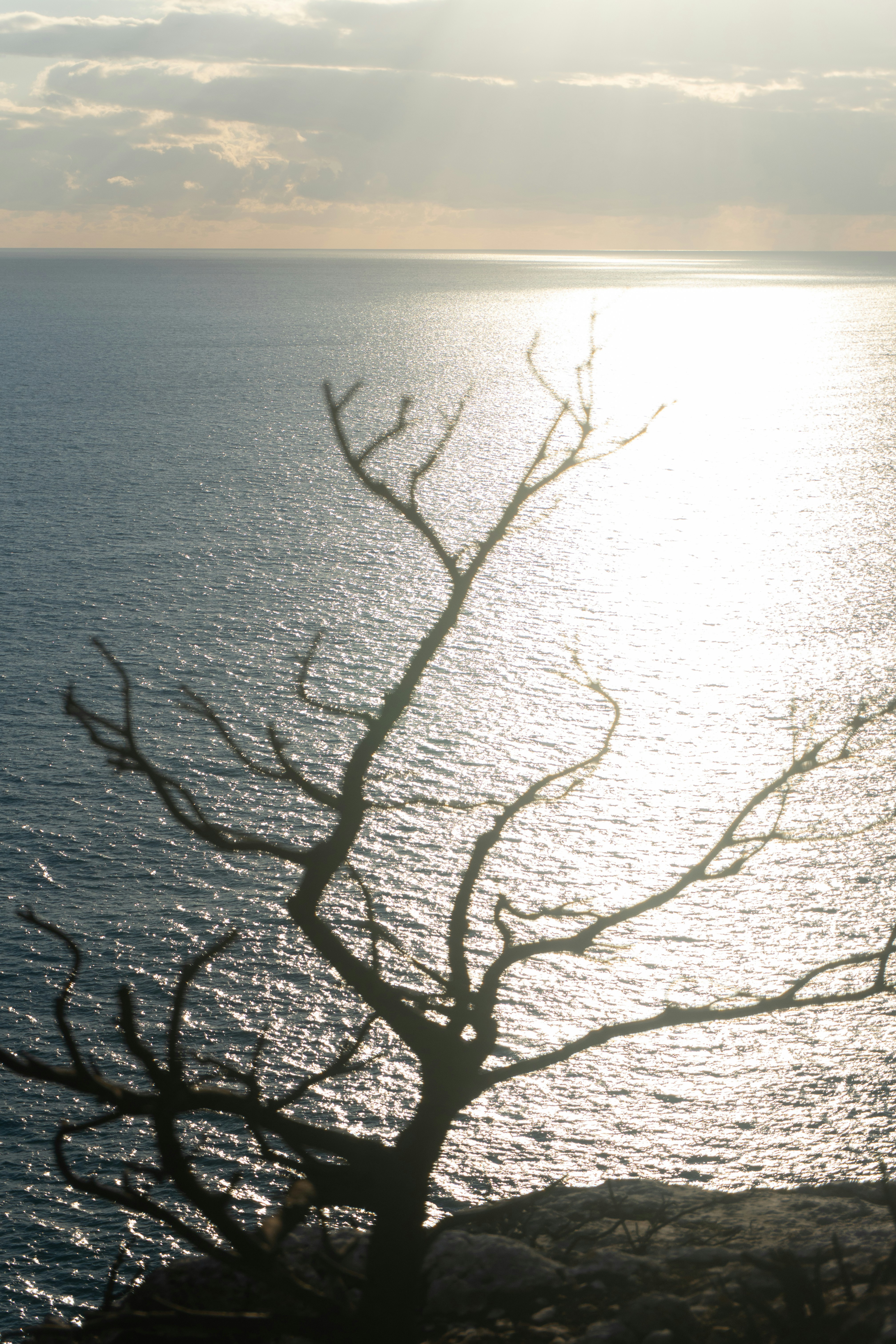 Whispers of the Sea