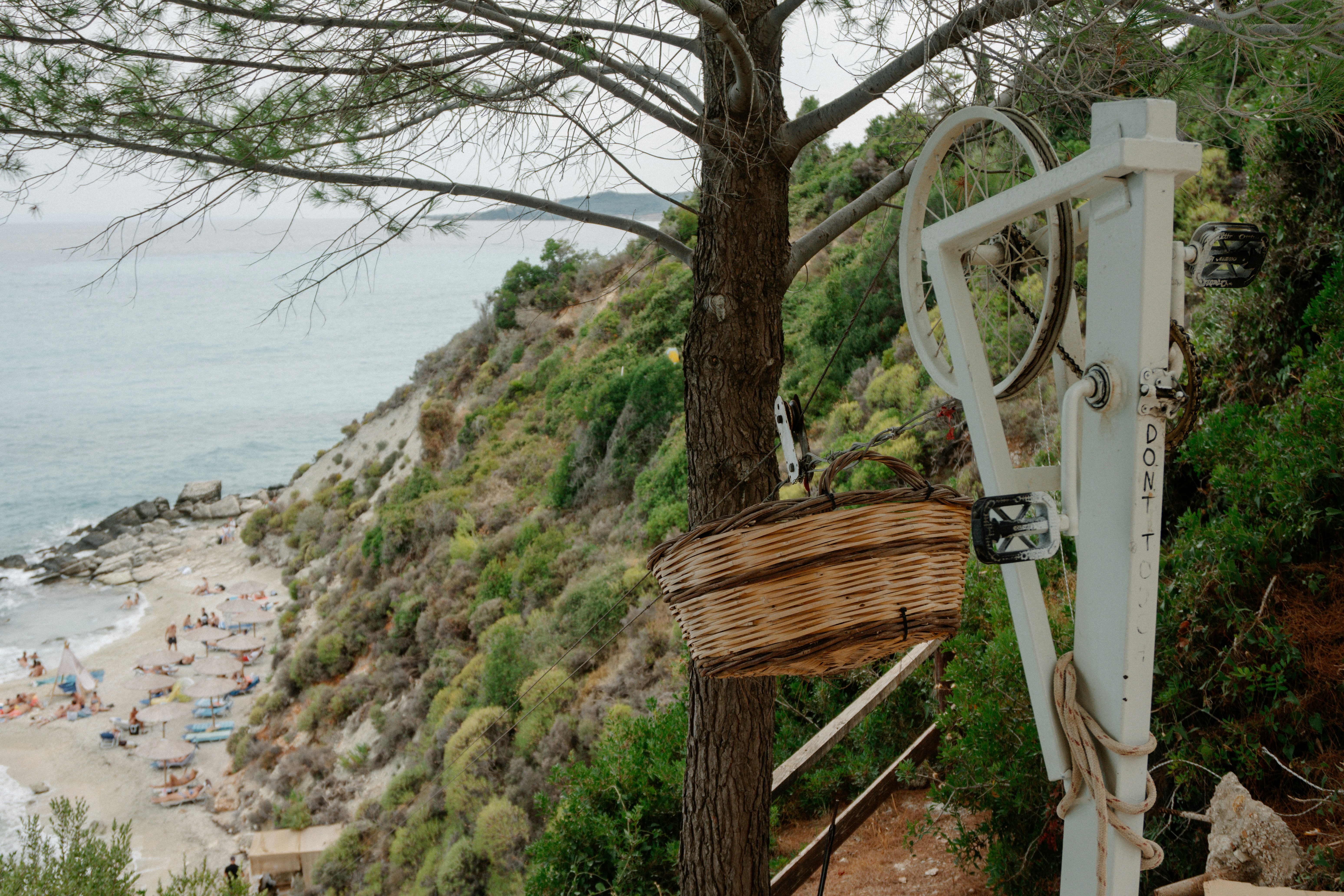 A rustic basket hanging from a tree overlooks a tranquil beach scene with sunbathers and gentle waves. The lush greenery frames the coastal view beautifully.