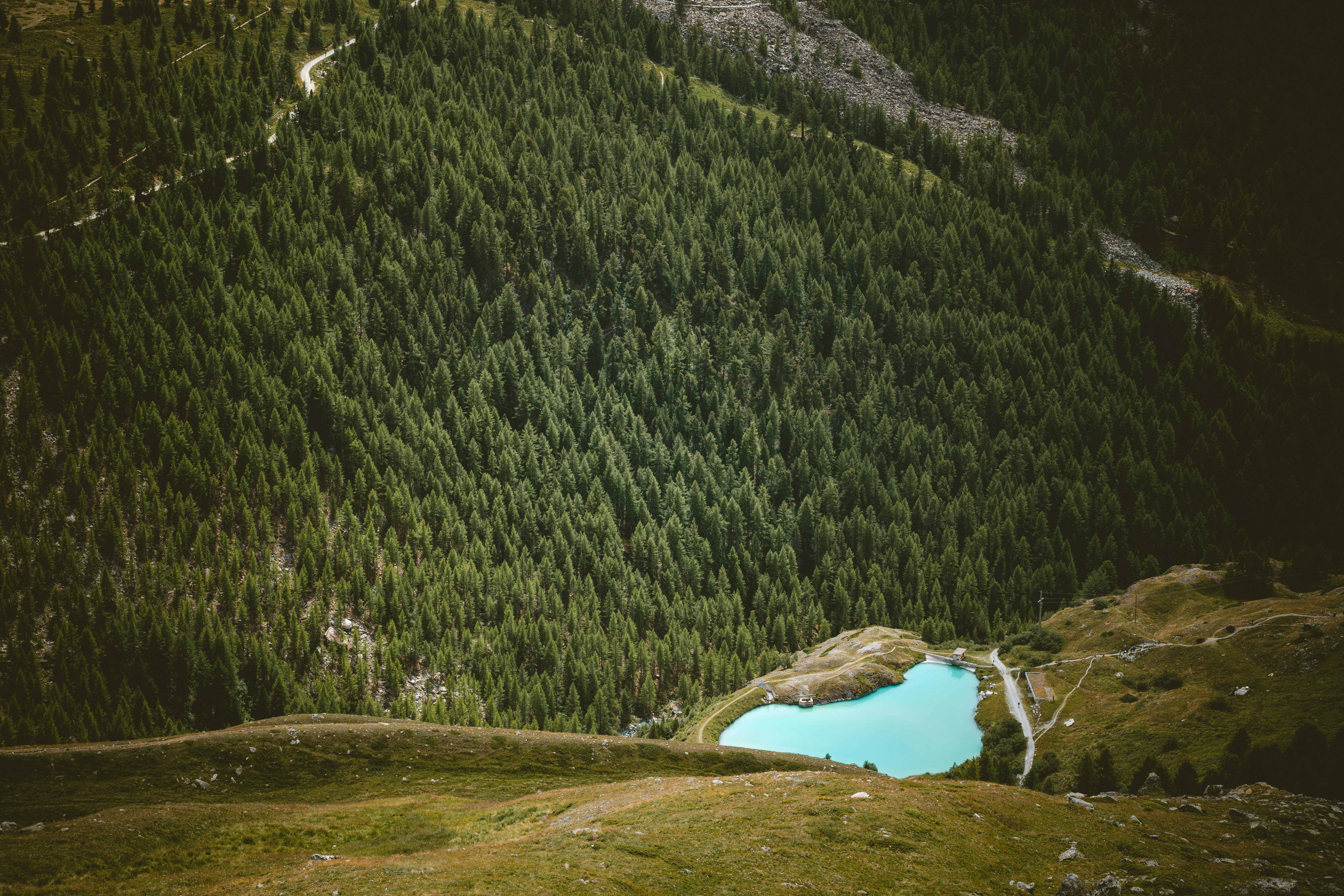 Turquoise lake nestled within a dense green forest. photo – Free Forest ...