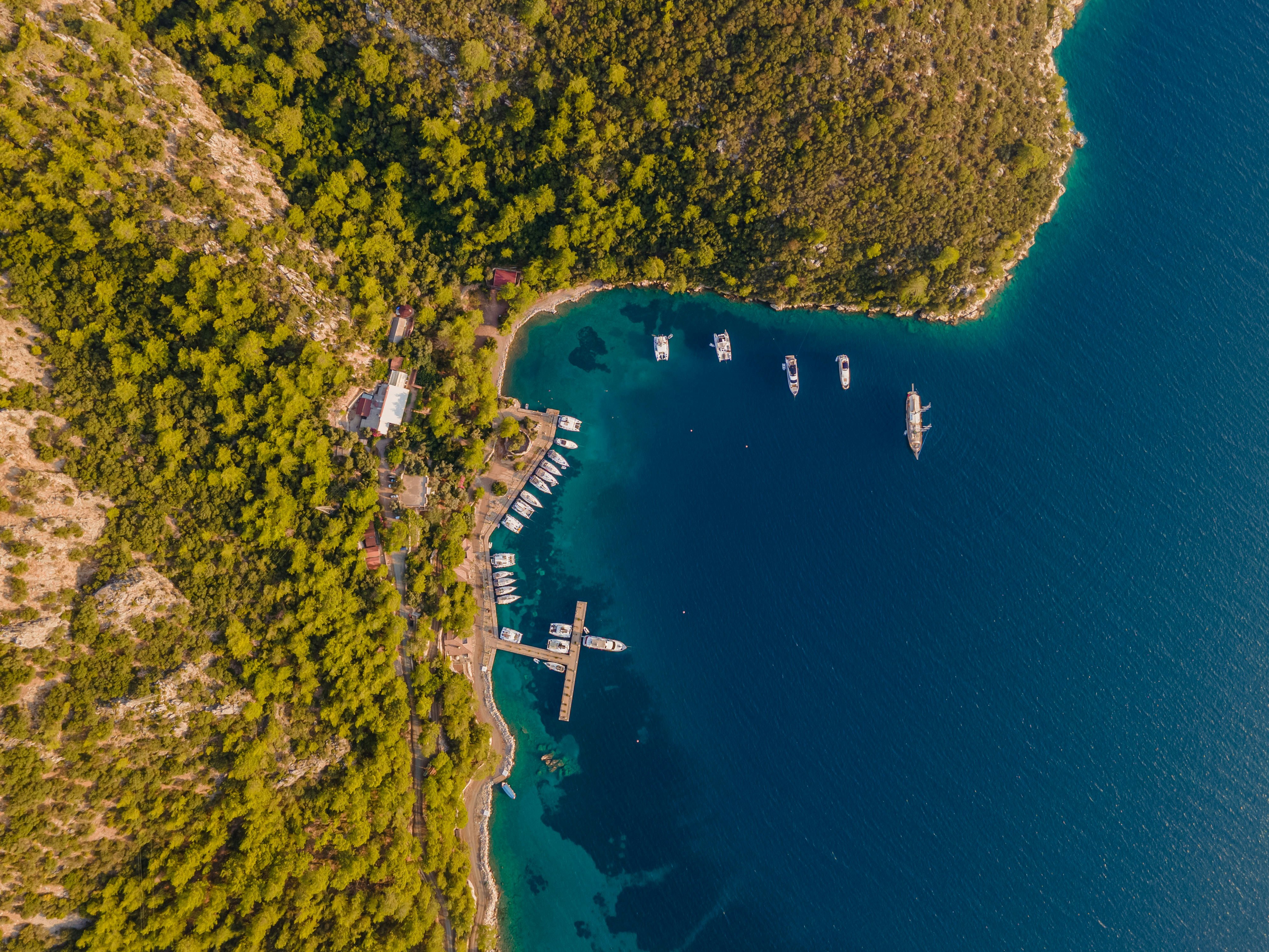 Boats docked in a clear blue bay surrounded by trees.