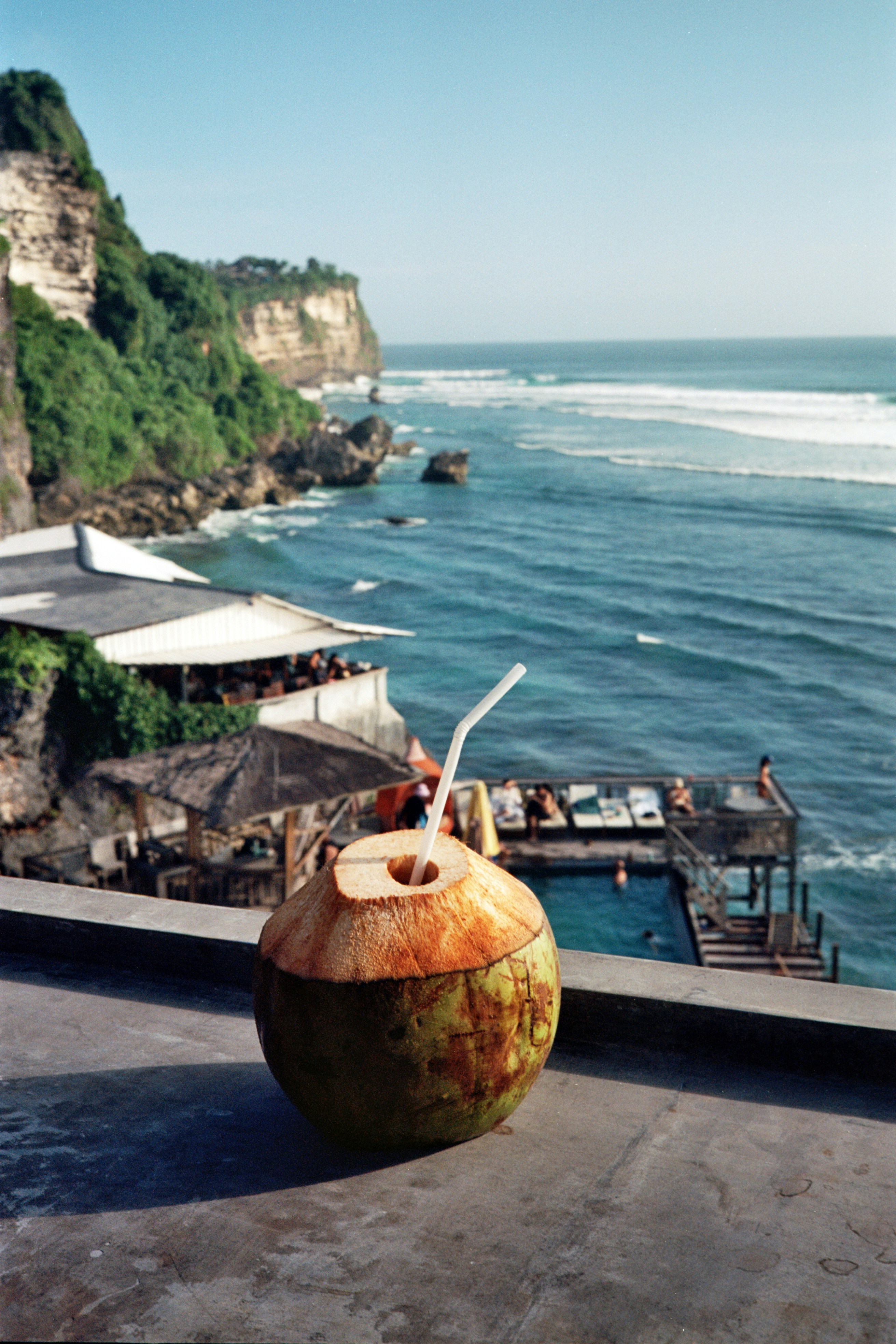 Tropical Serenity: A Coconut's View