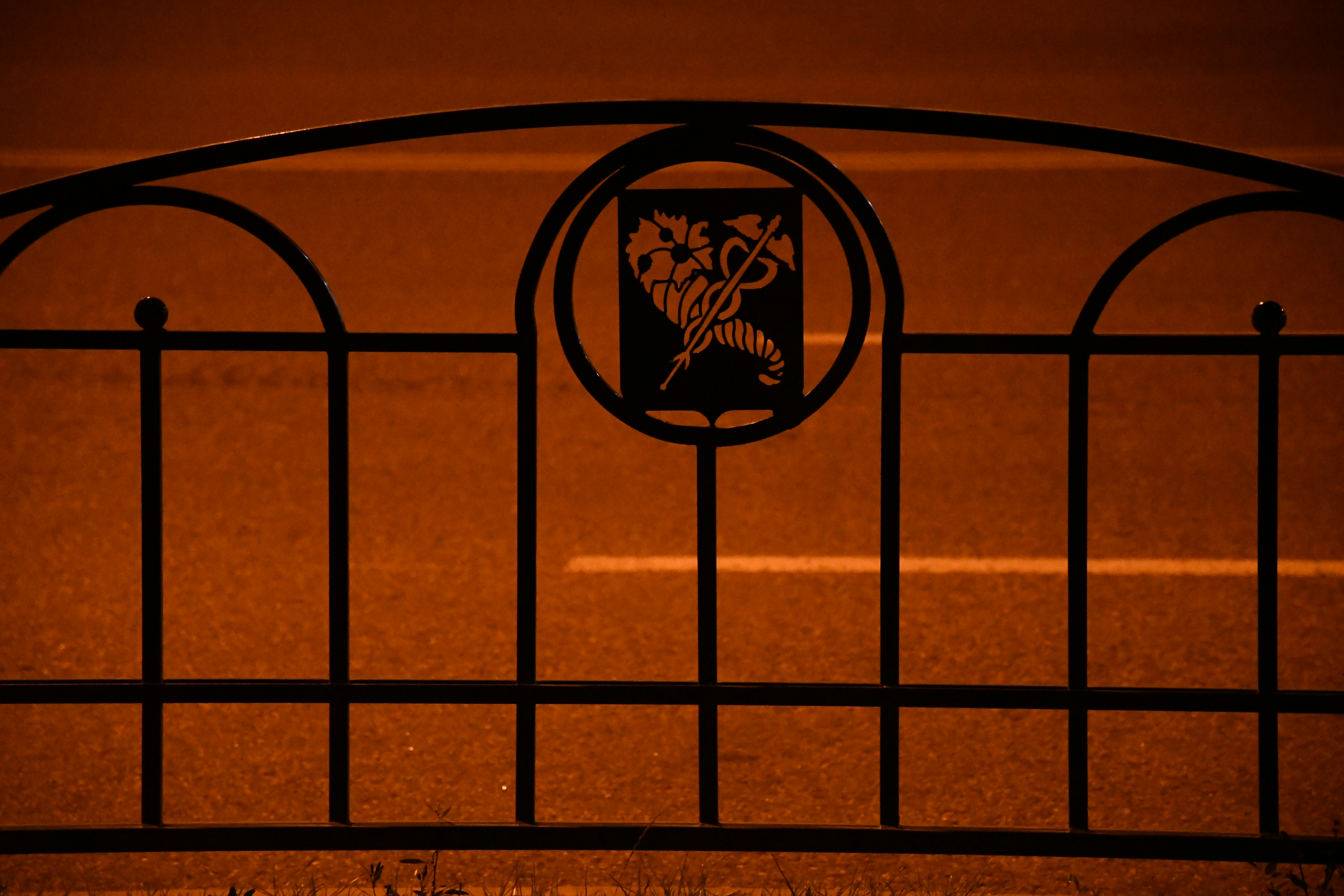 The Elegance of Ironwork Under Amber Glow