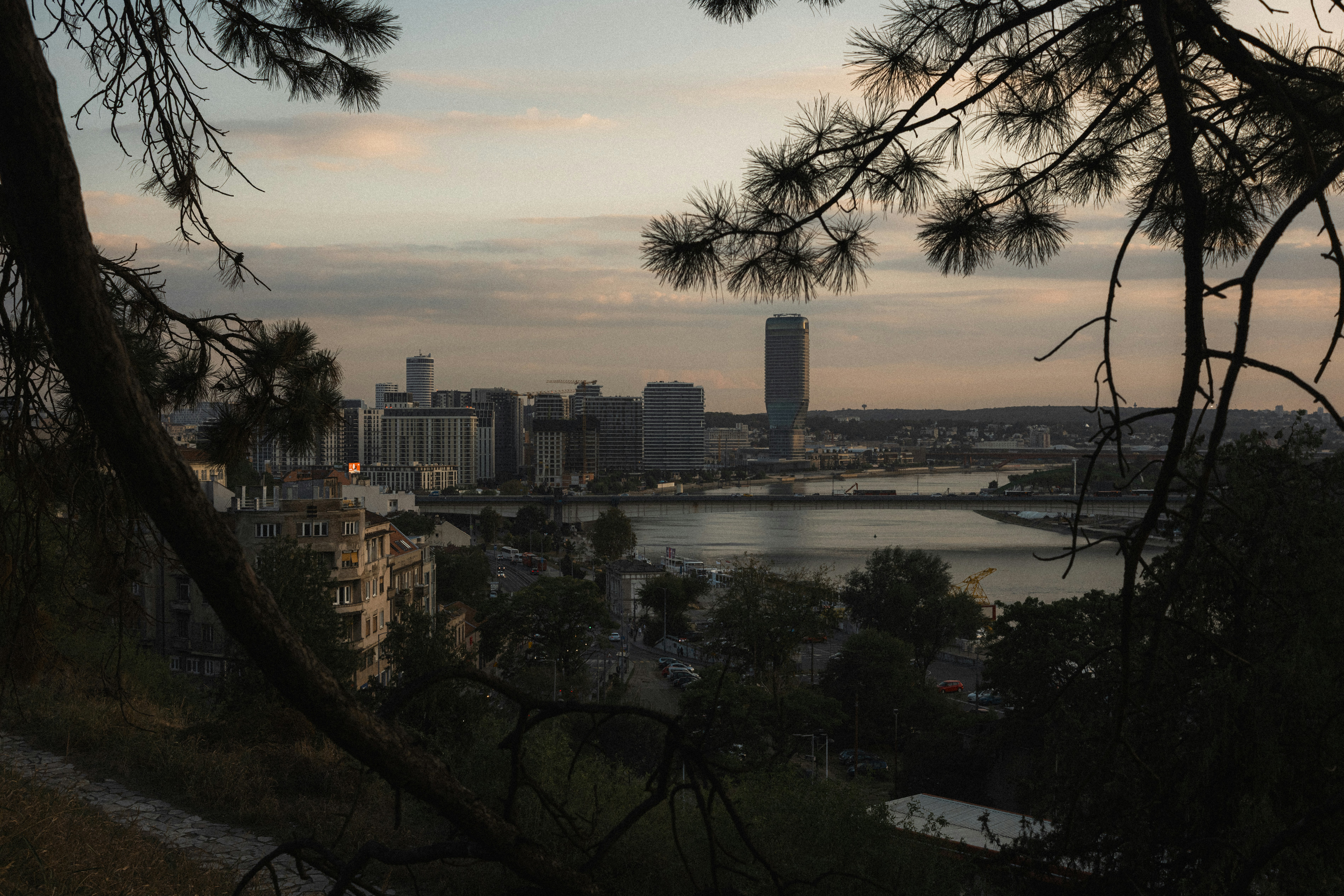 City skyline reflecting the tranquil waters of a river, framed by silhouetted tree branches during twilight.