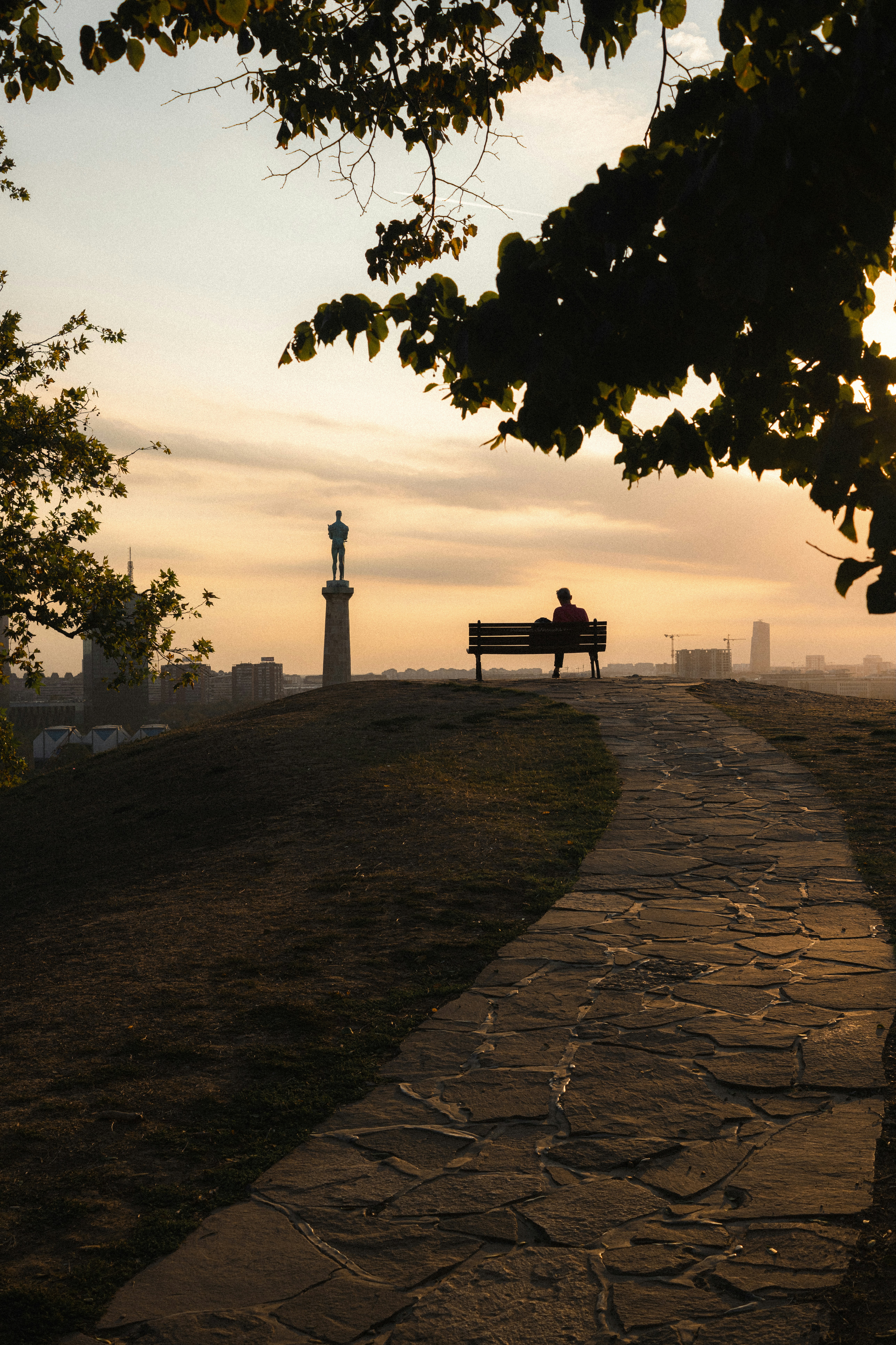 Solitude Amidst the Skyline
