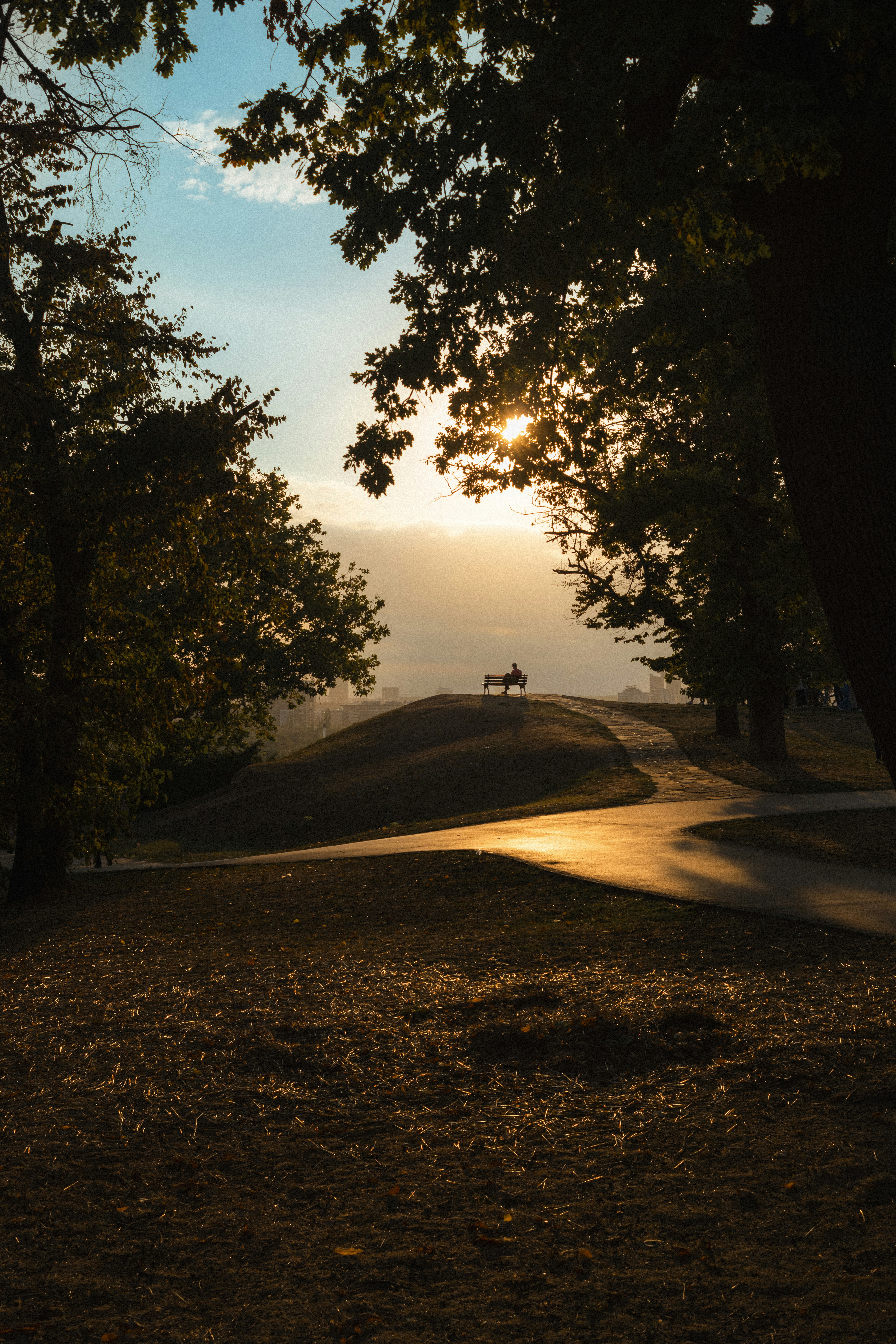 A lone figure sits on a bench atop a hill, surrounded by silhouetted trees as the sun sets behind them.