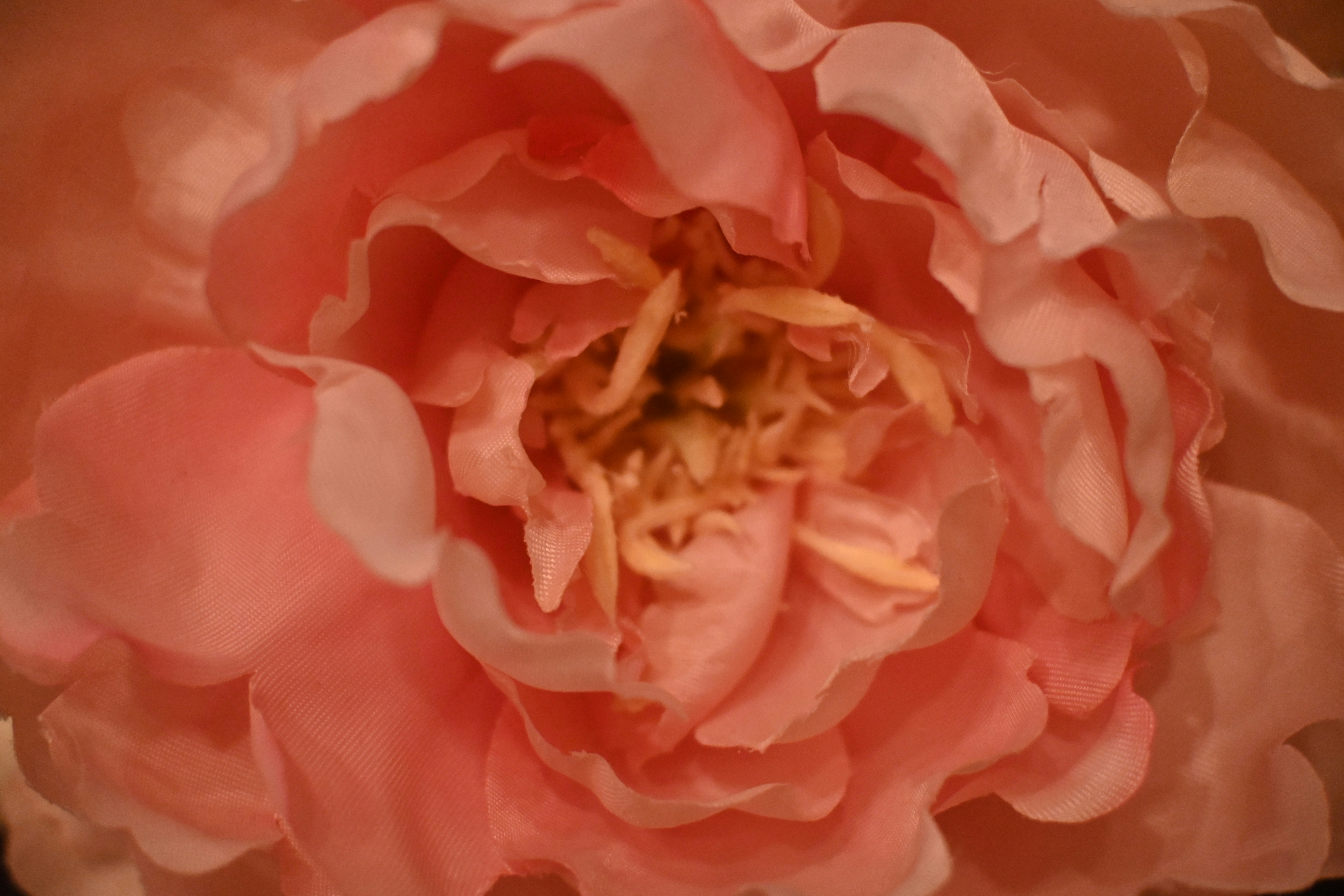 Delicate Layers of a Fabric Flower