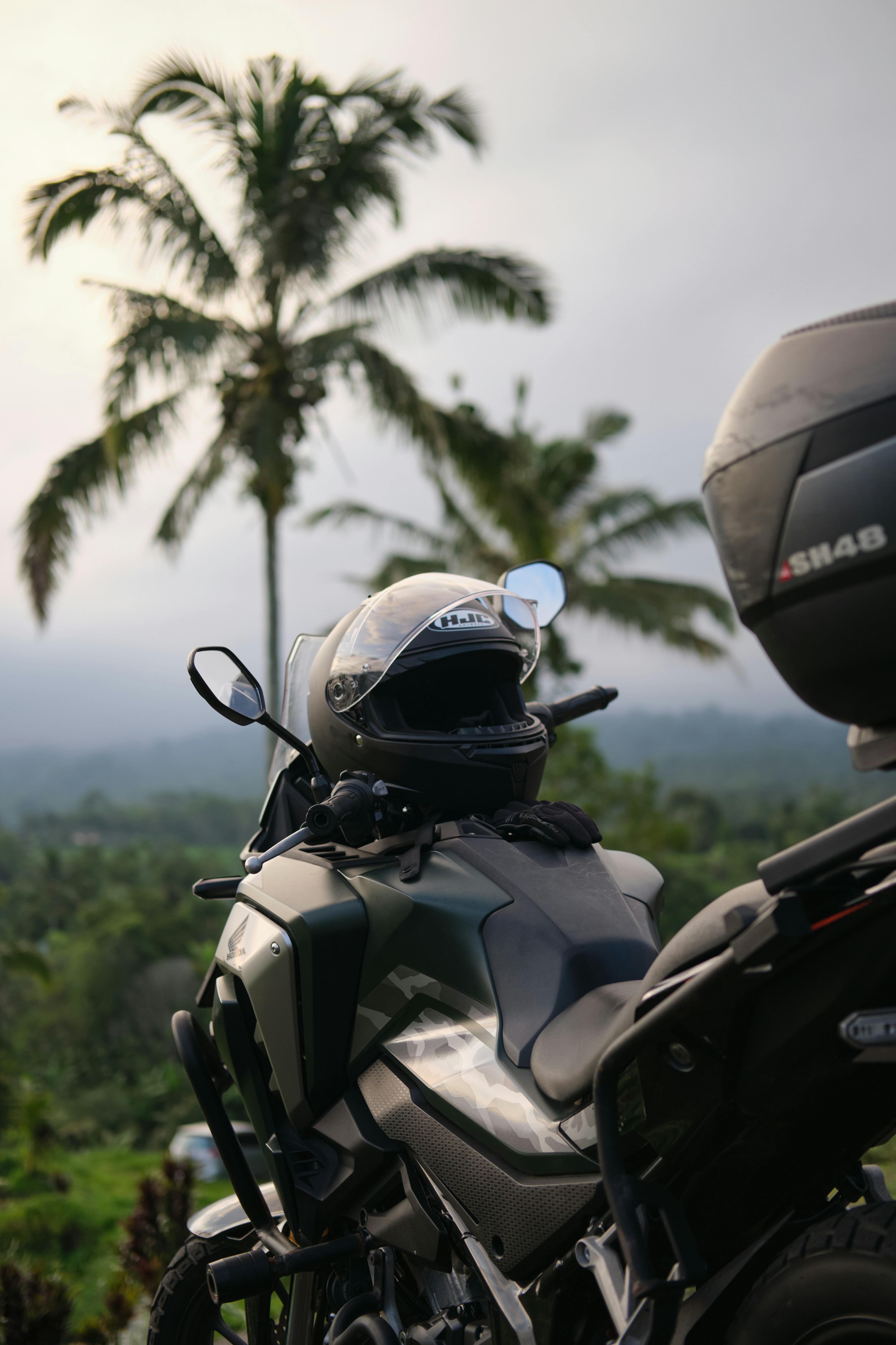 Journey's Pause: A Motorcycle Amidst Tropical Serenity