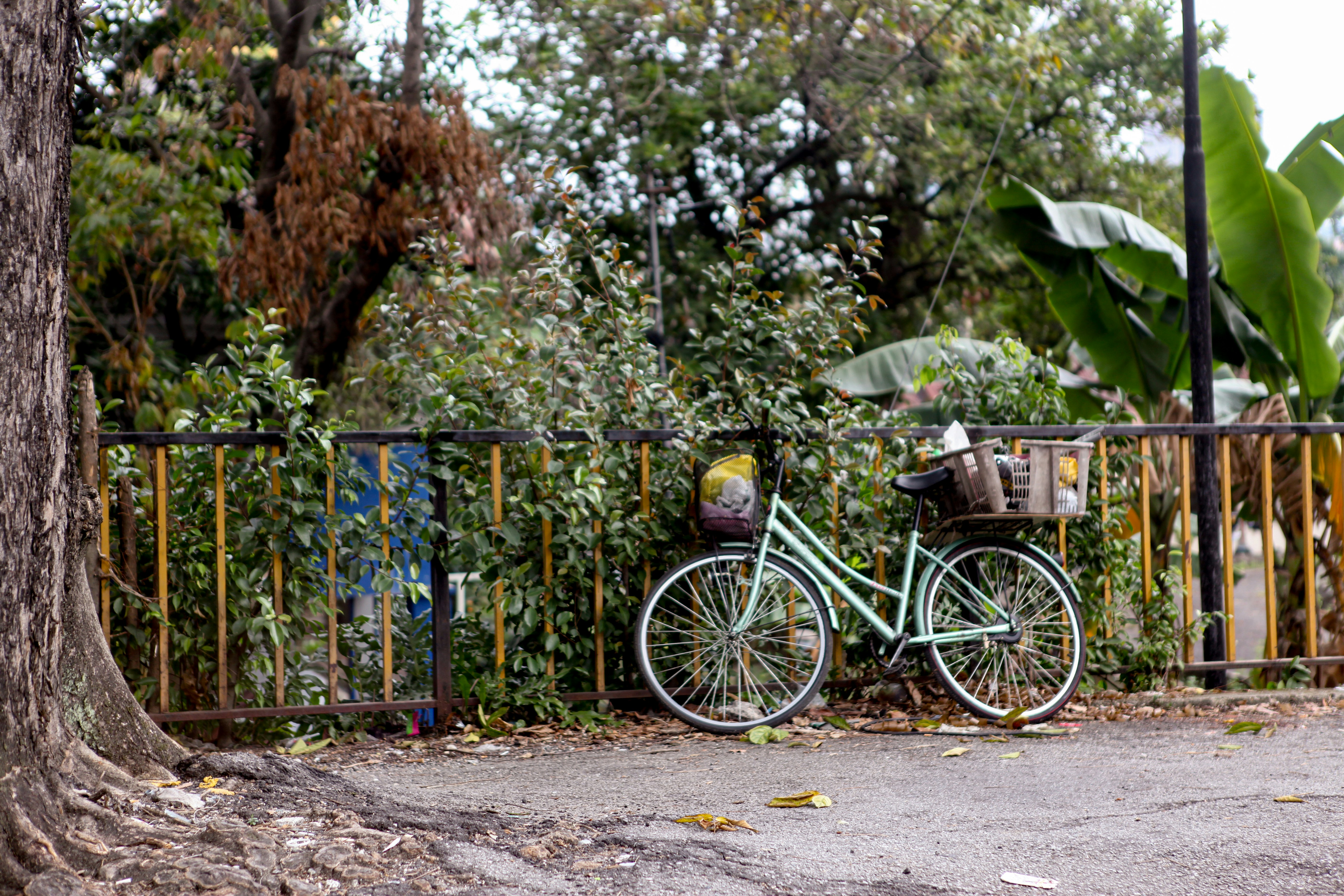 A vintage bicycle rests against a rustic fence, surrounded by lush foliage and hints of urban life. The scene evokes nostalgia and a sense of tranquility.