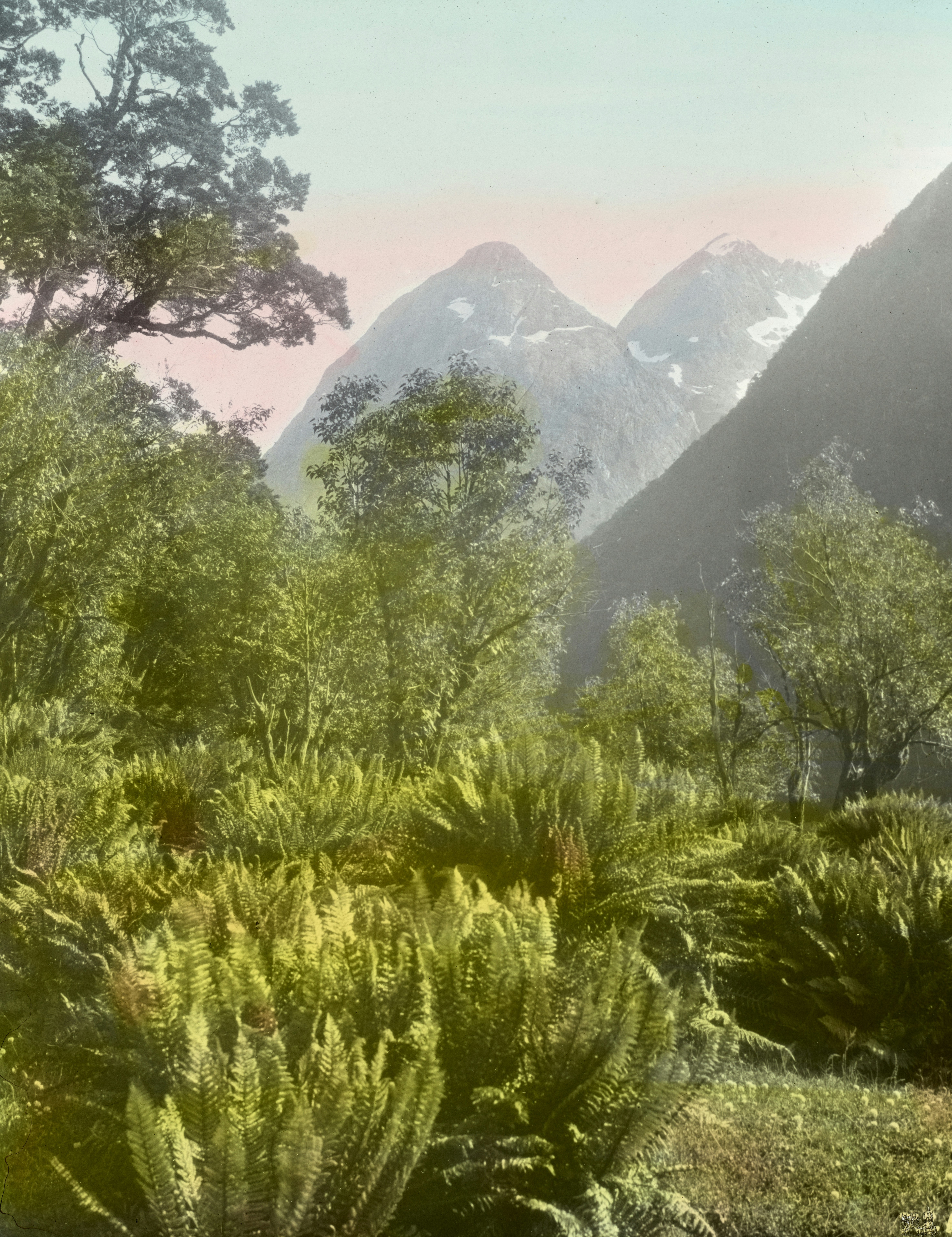 Lush ferns blanket the foreground, leading to majestic mountains shrouded in soft hues. The scene evokes a serene connection with nature.