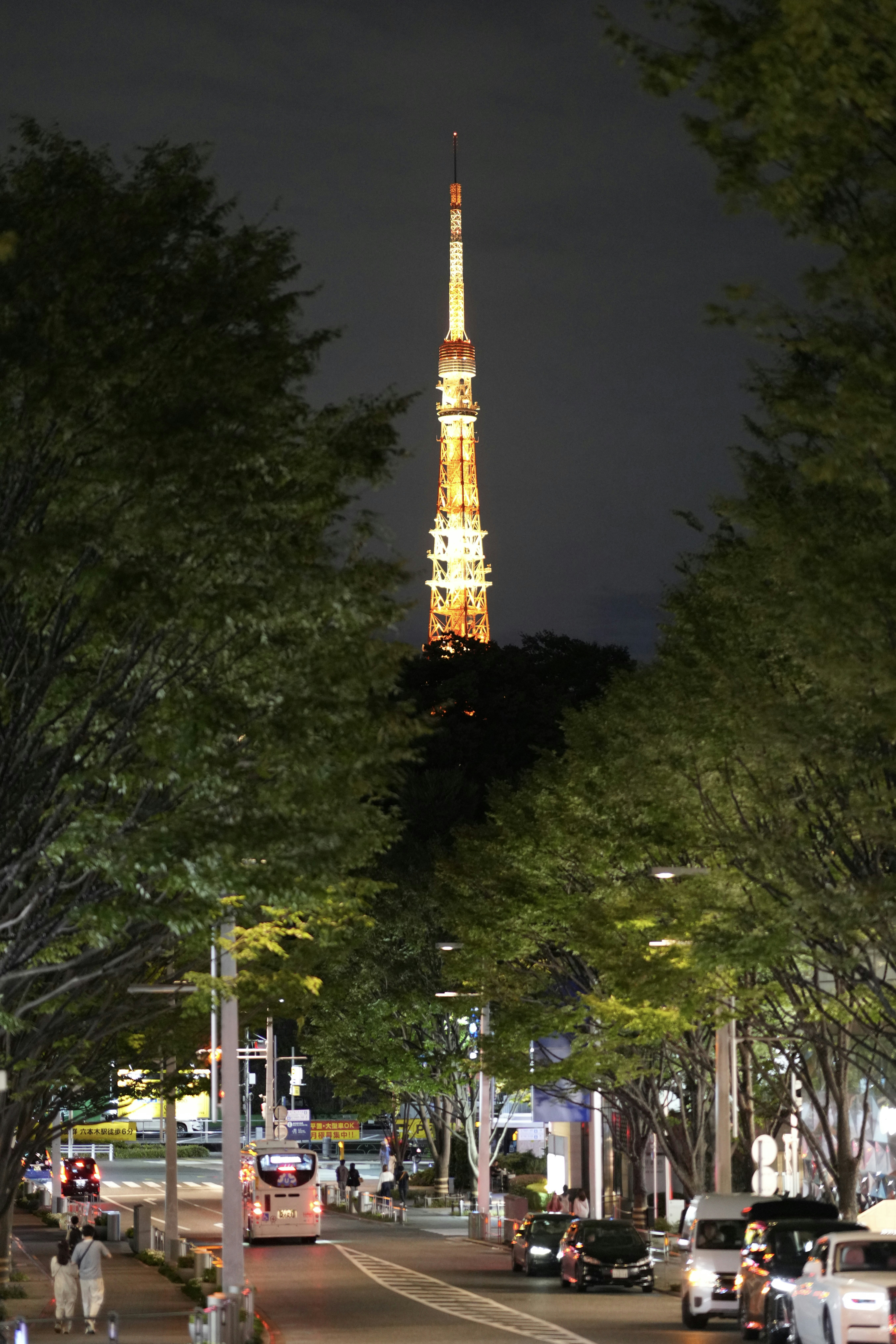 Tokyo Tower glows brightly against the night sky, framed by lush trees lining the street. The urban scene captures the blend of nature and city life.