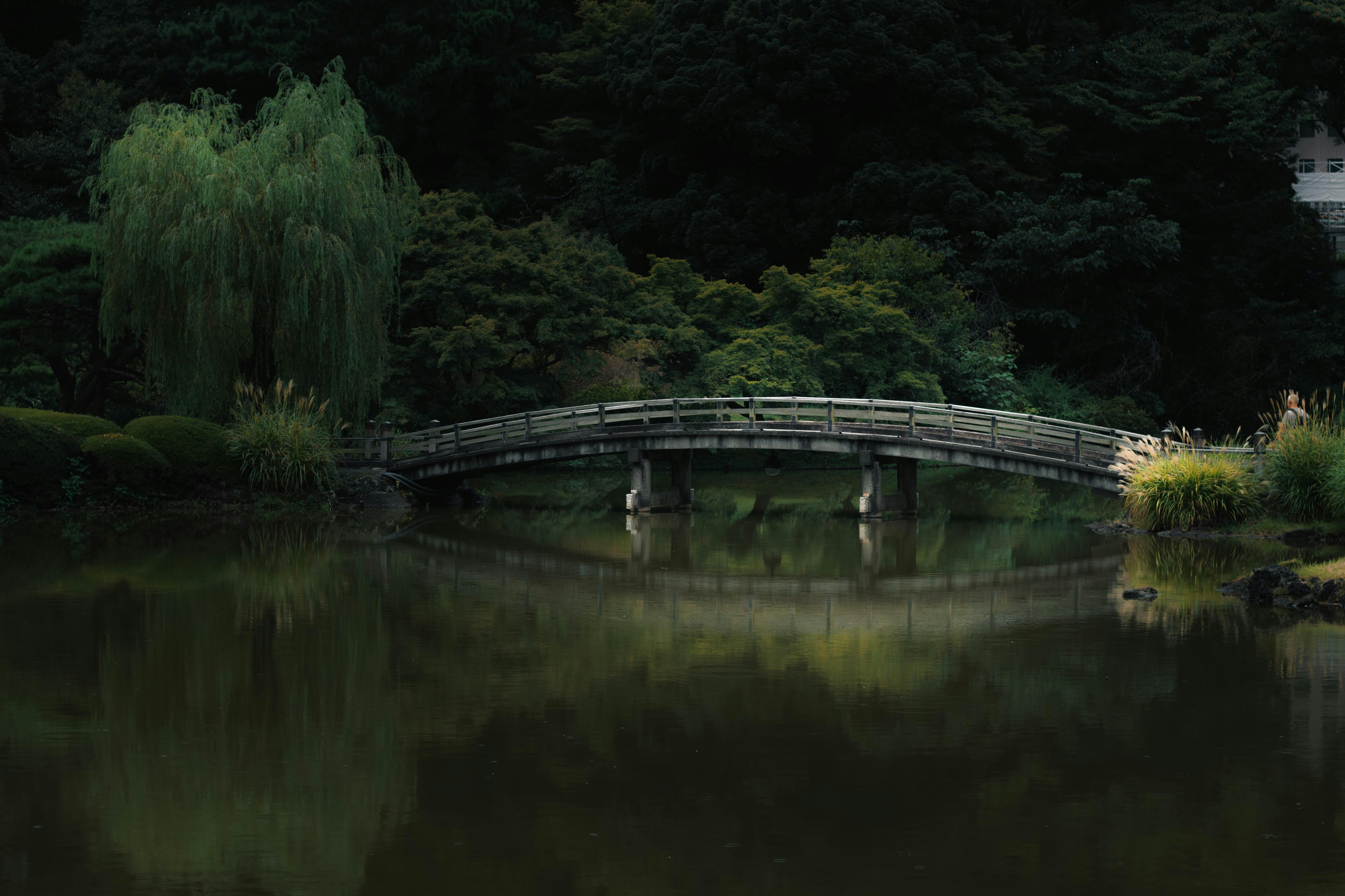 Serenity's Embrace: The Tranquil Bridge