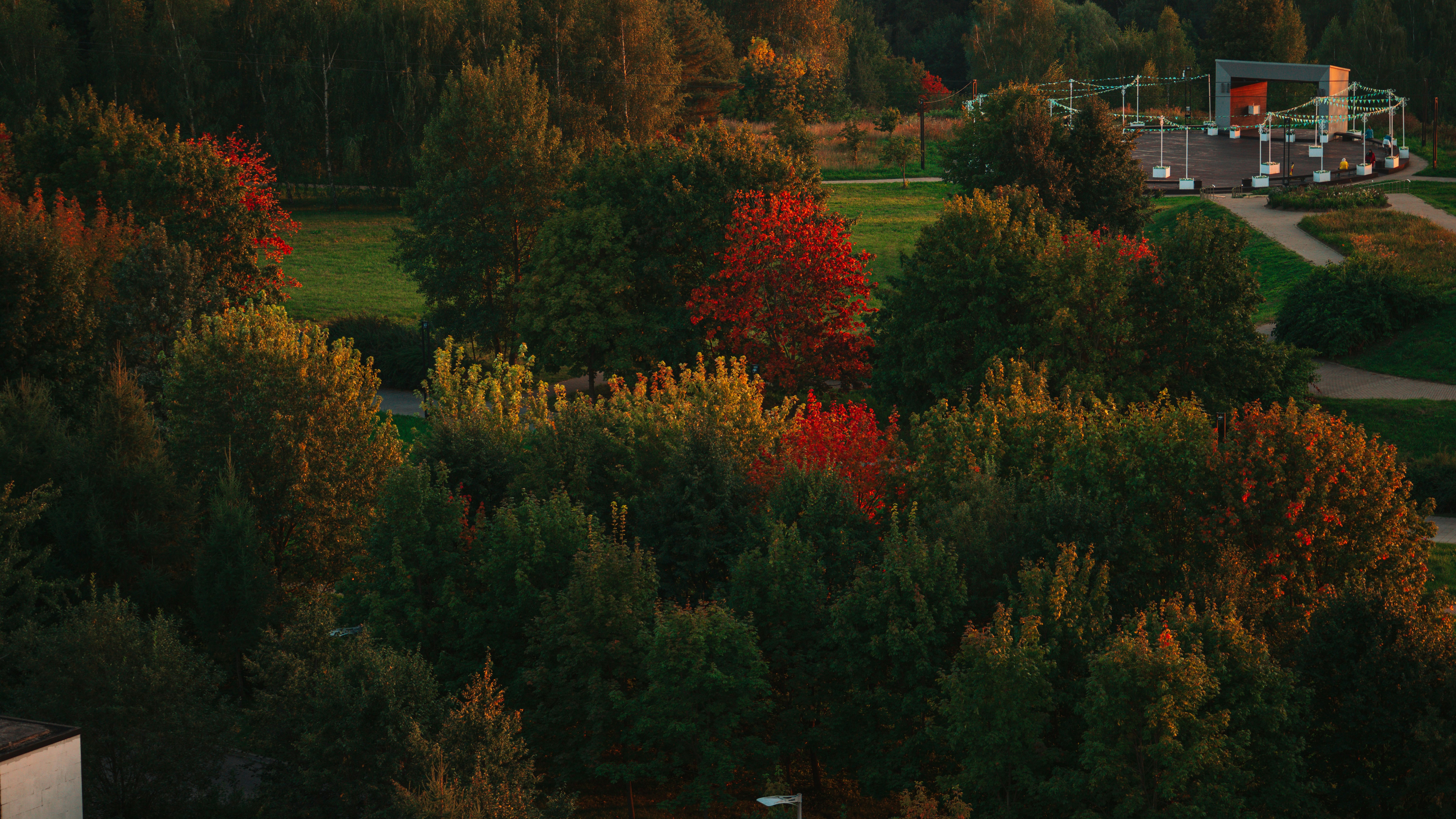 Vibrant autumn foliage contrasts with lush greenery in a serene park, showcasing a playground in the background. The scene captures the essence of seasonal change.