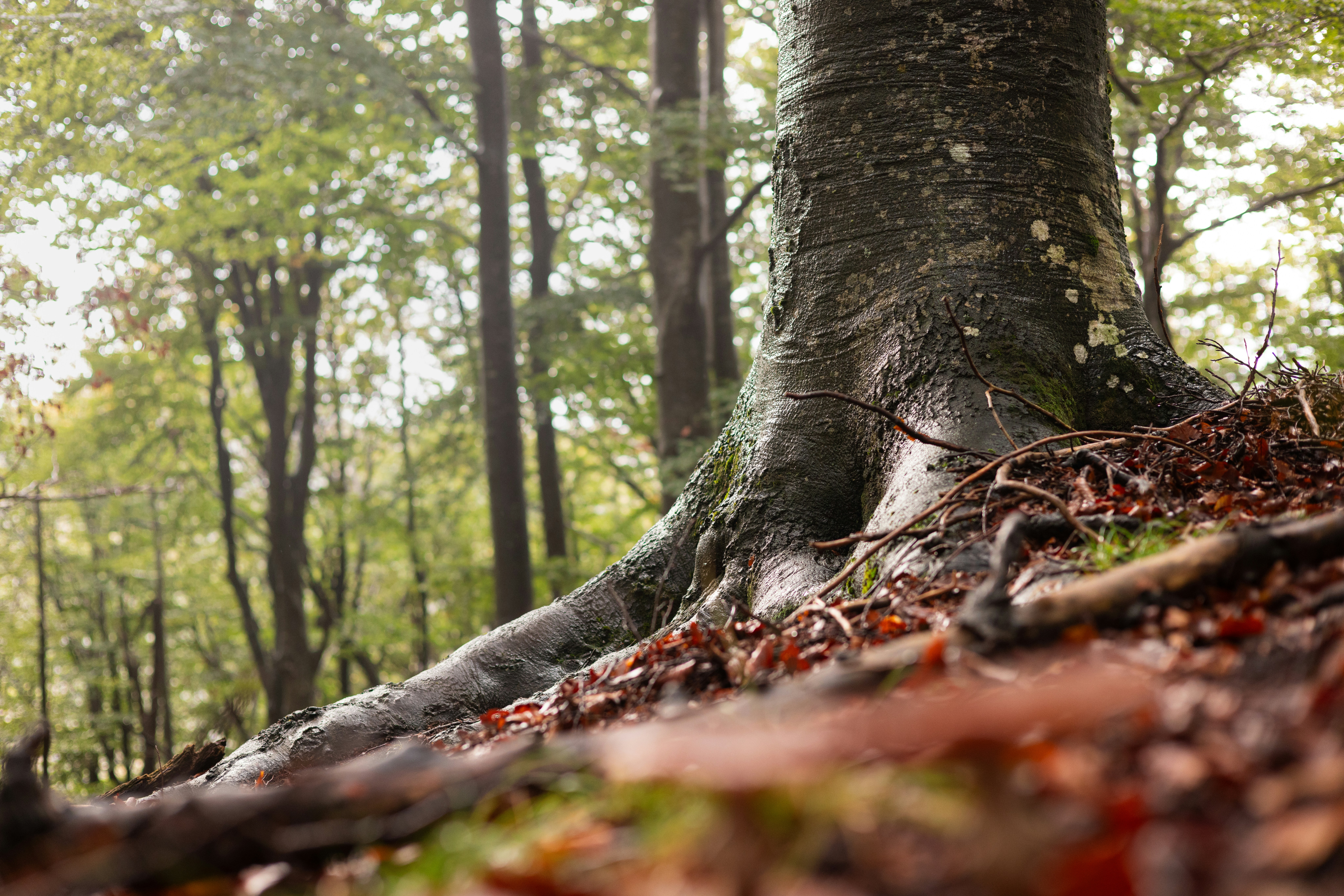 Tim Kuhn (@tiku06) | Unsplashフォトコミュニティ