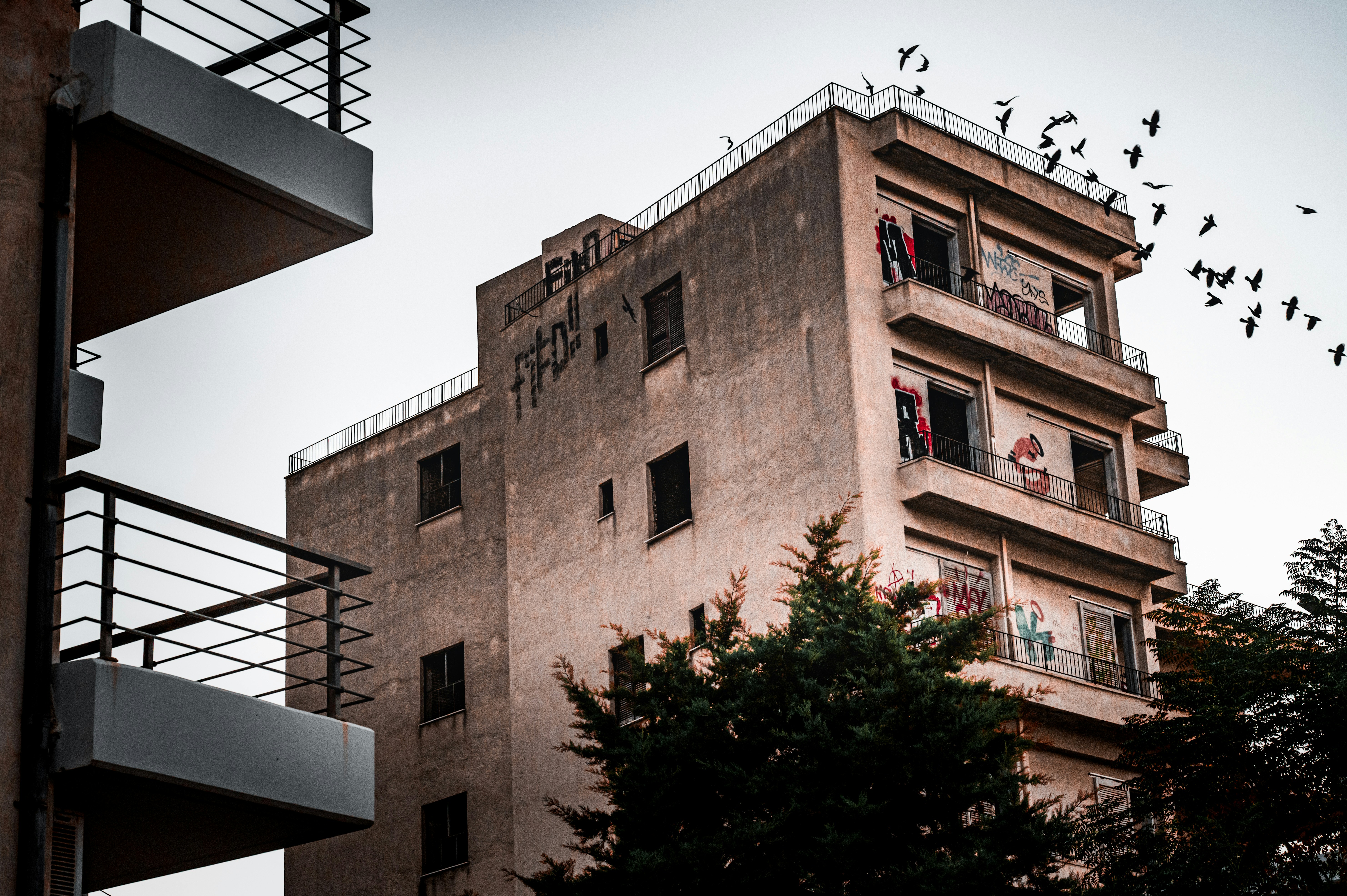 Faded walls and empty balconies of a deserted hotel in Tolo, Greece, echoing stories of the past. | Flock of birds flying near an old apartment building.