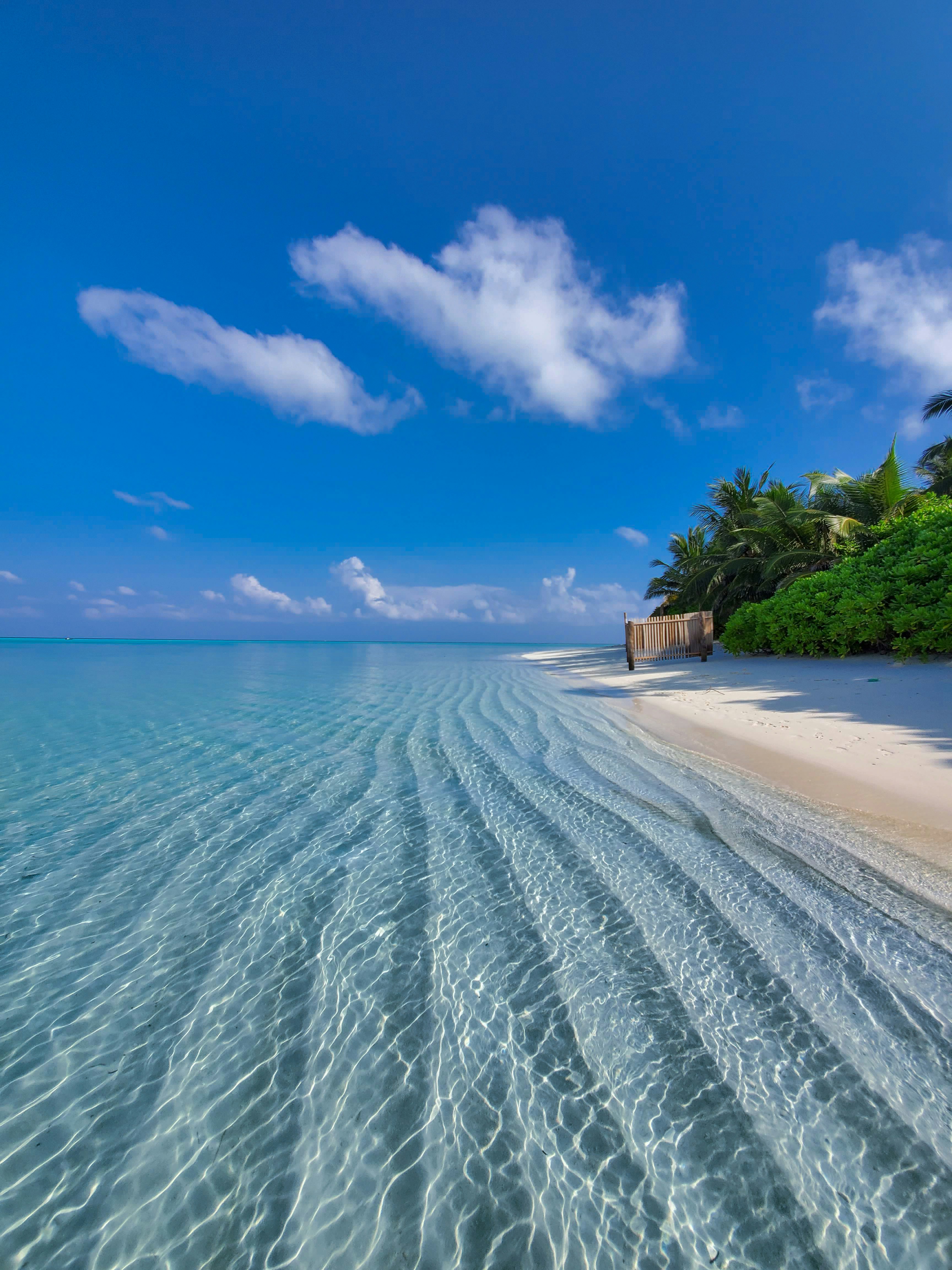 Crystal clear turquoise water with sandy beach and palm trees.