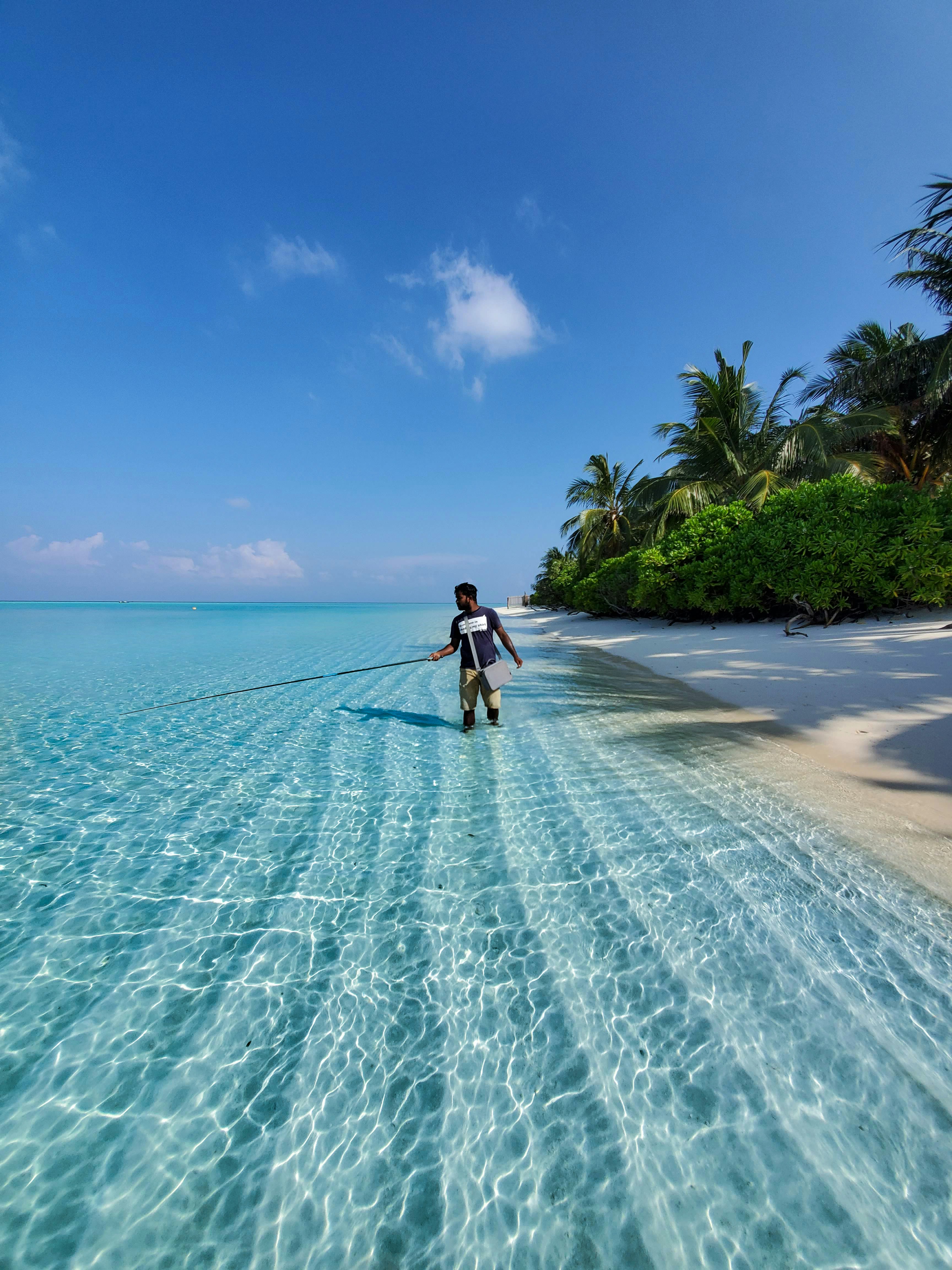 Fisherman wading through crystal-clear waters near a tropical shoreline, surrounded by lush greenery and a bright blue sky.