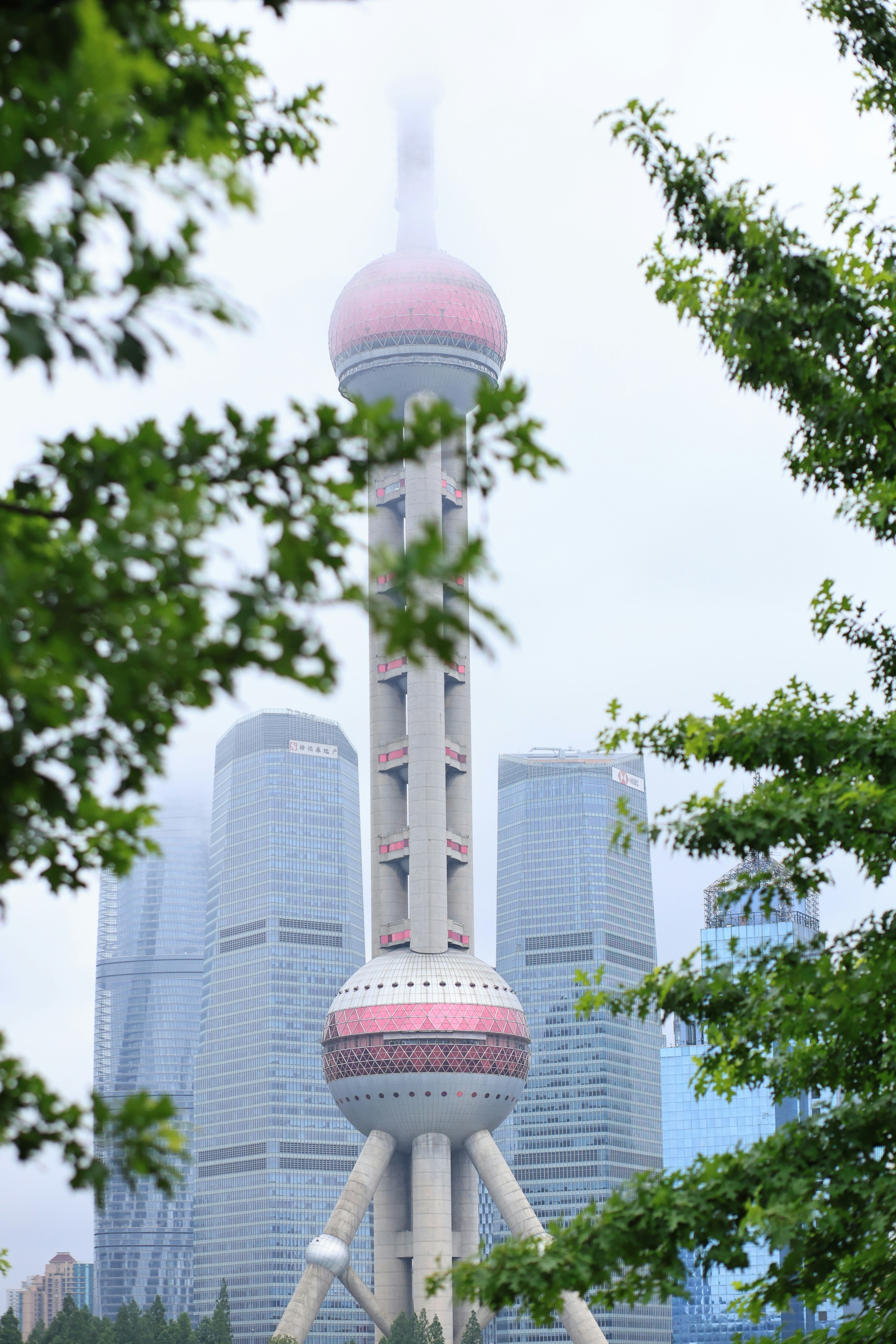 The Tower Amidst the Mist