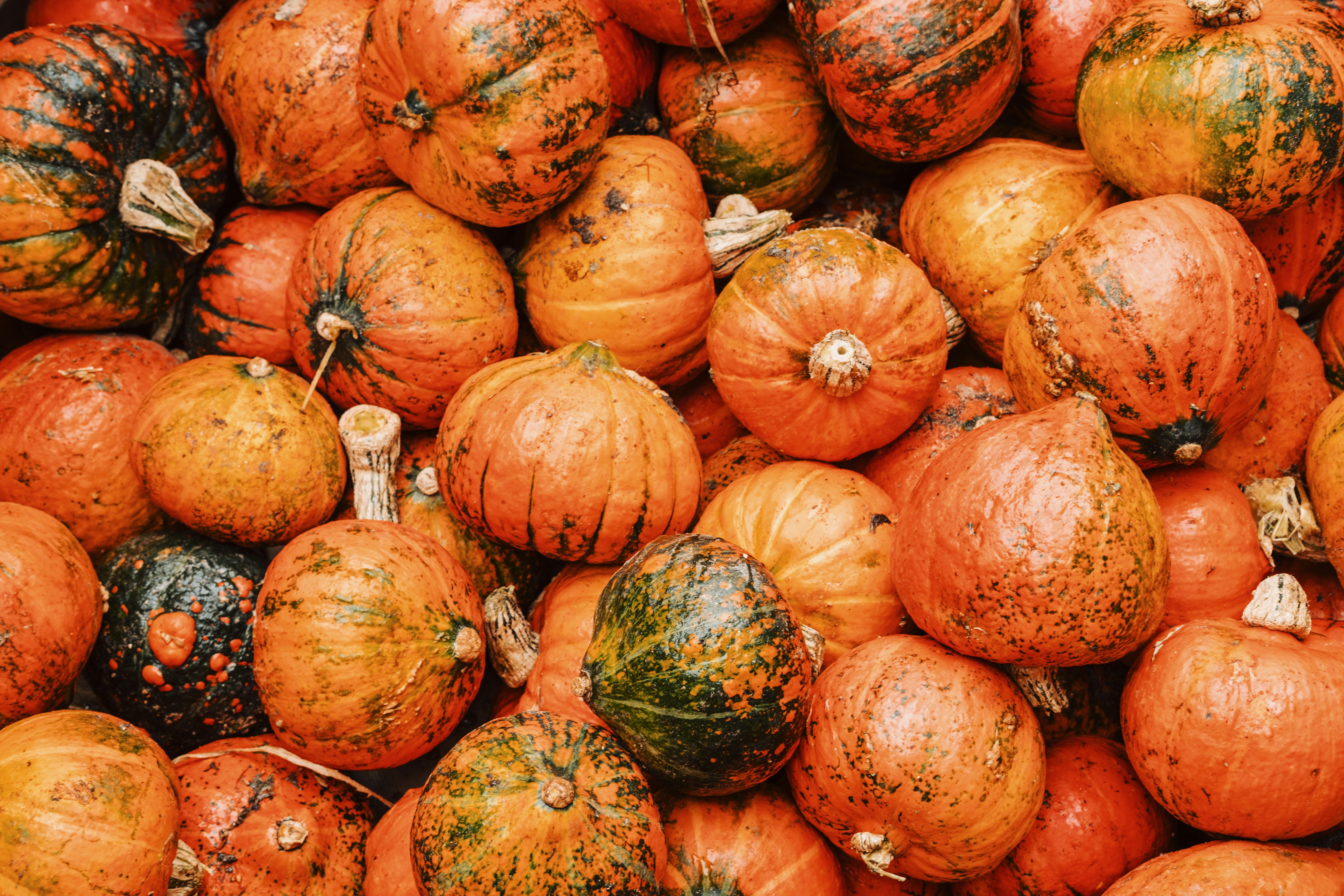 A pile of colorful pumpkins in various sizes