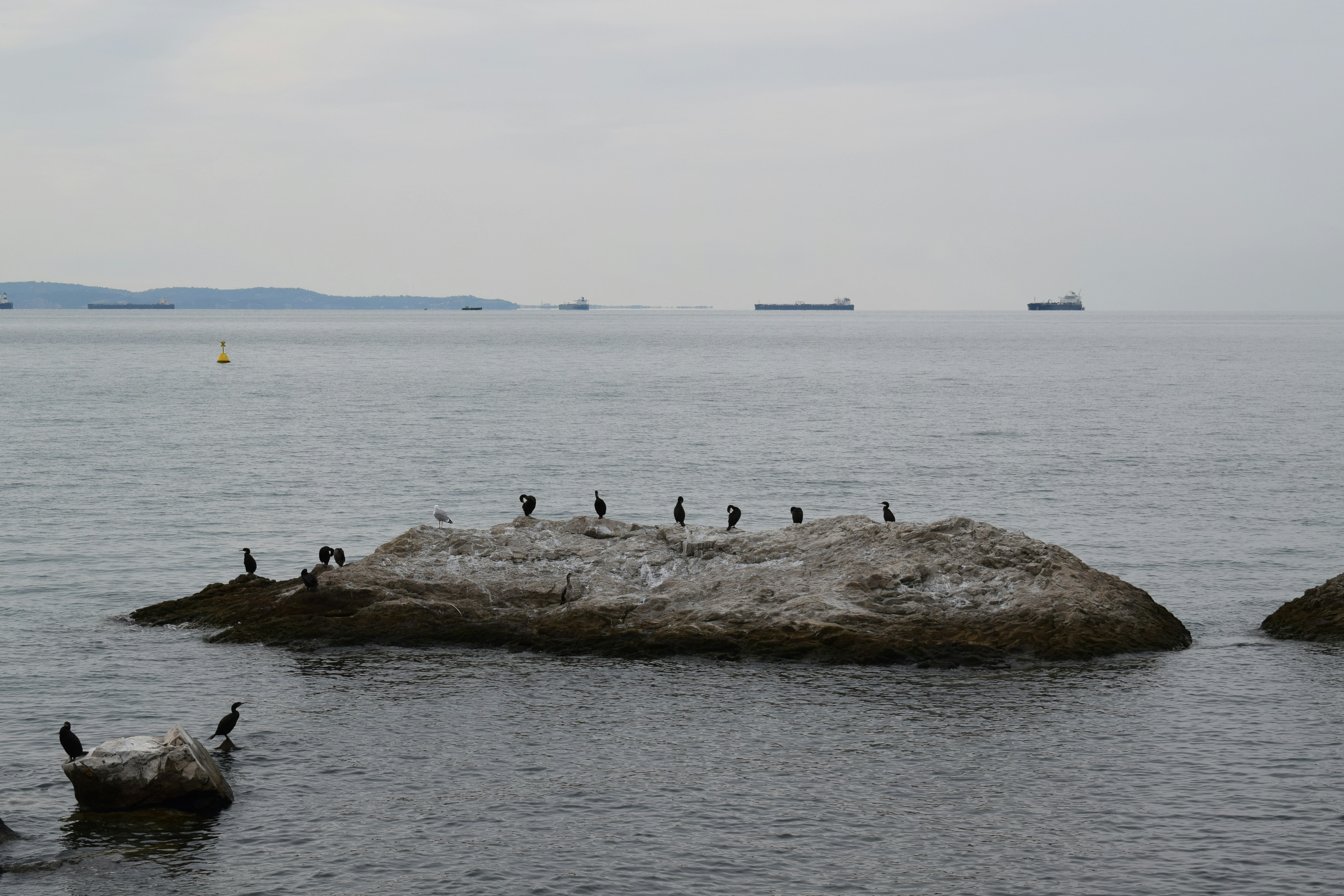 Harmony of Nature and Industry