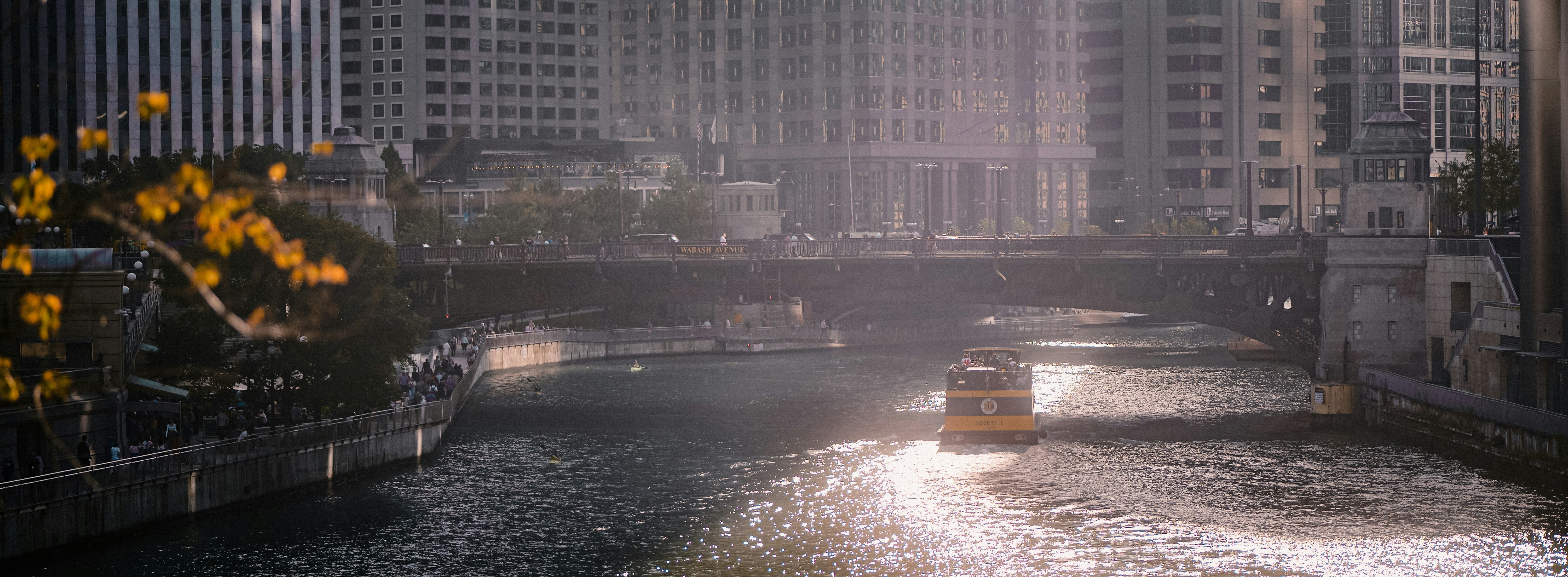 Golden Reflections on the River