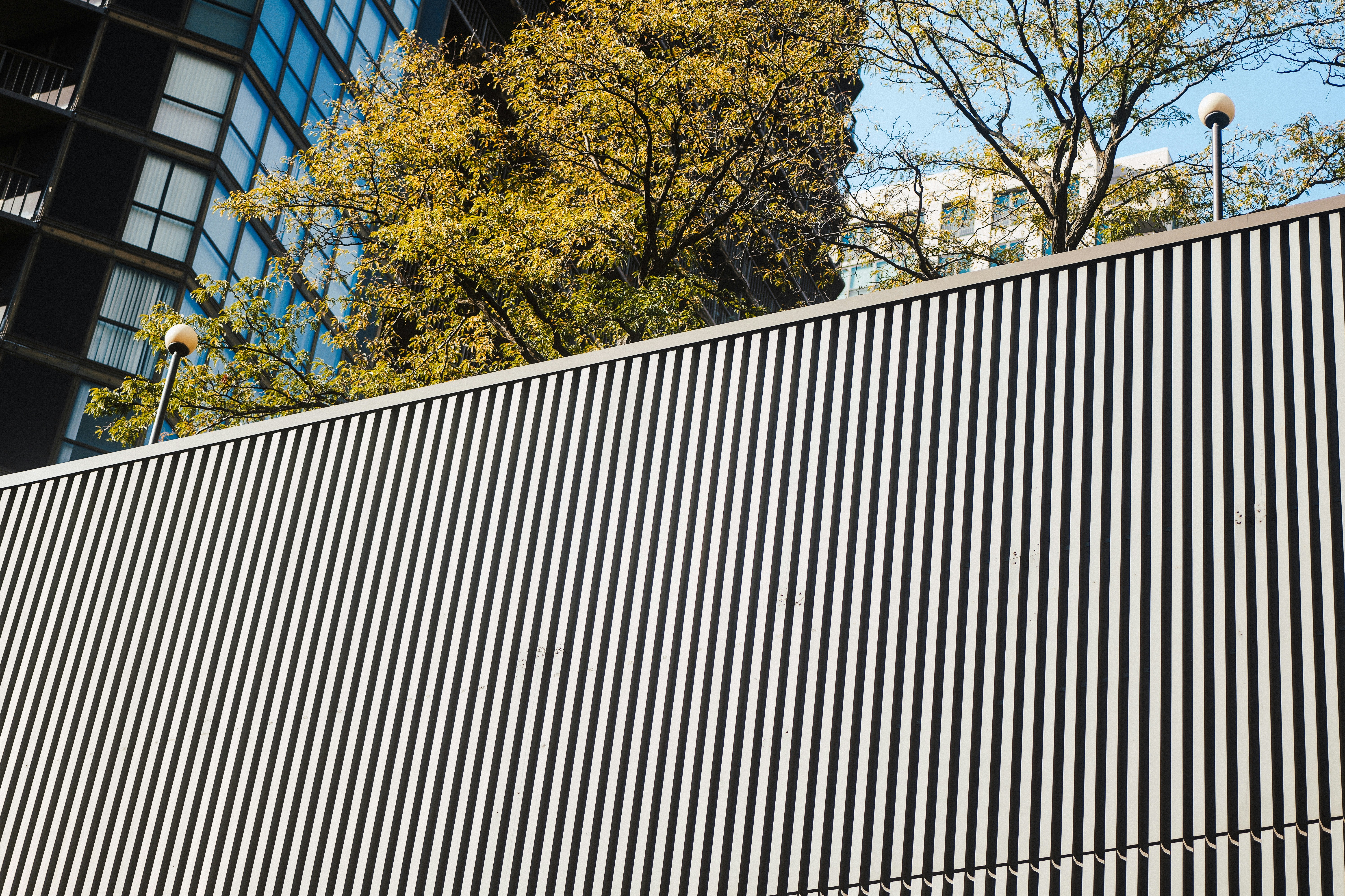 Urban Harmony: Nature Meets Modern Architecture