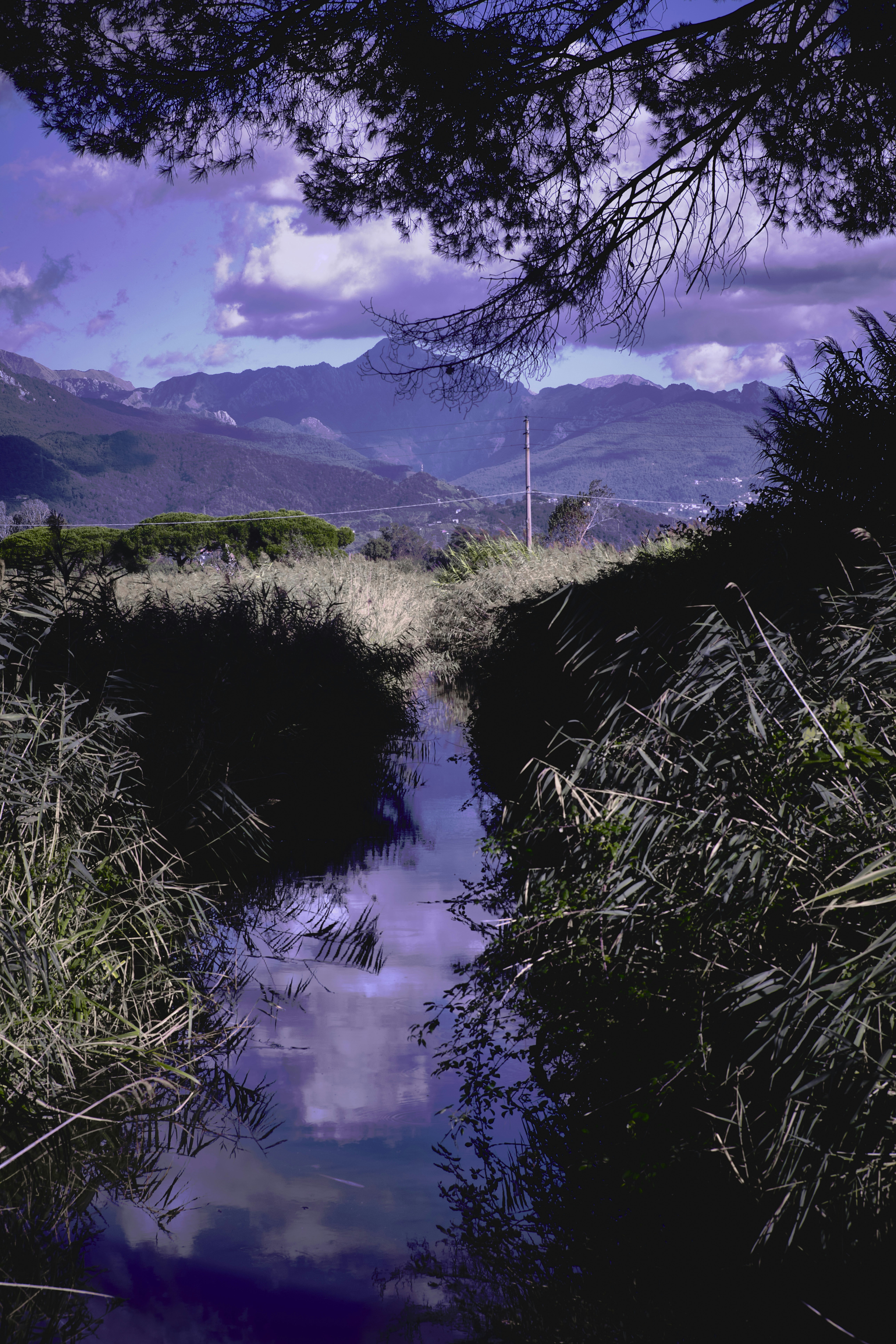Reflections of Serenity: A Journey Through Nature's Canvas